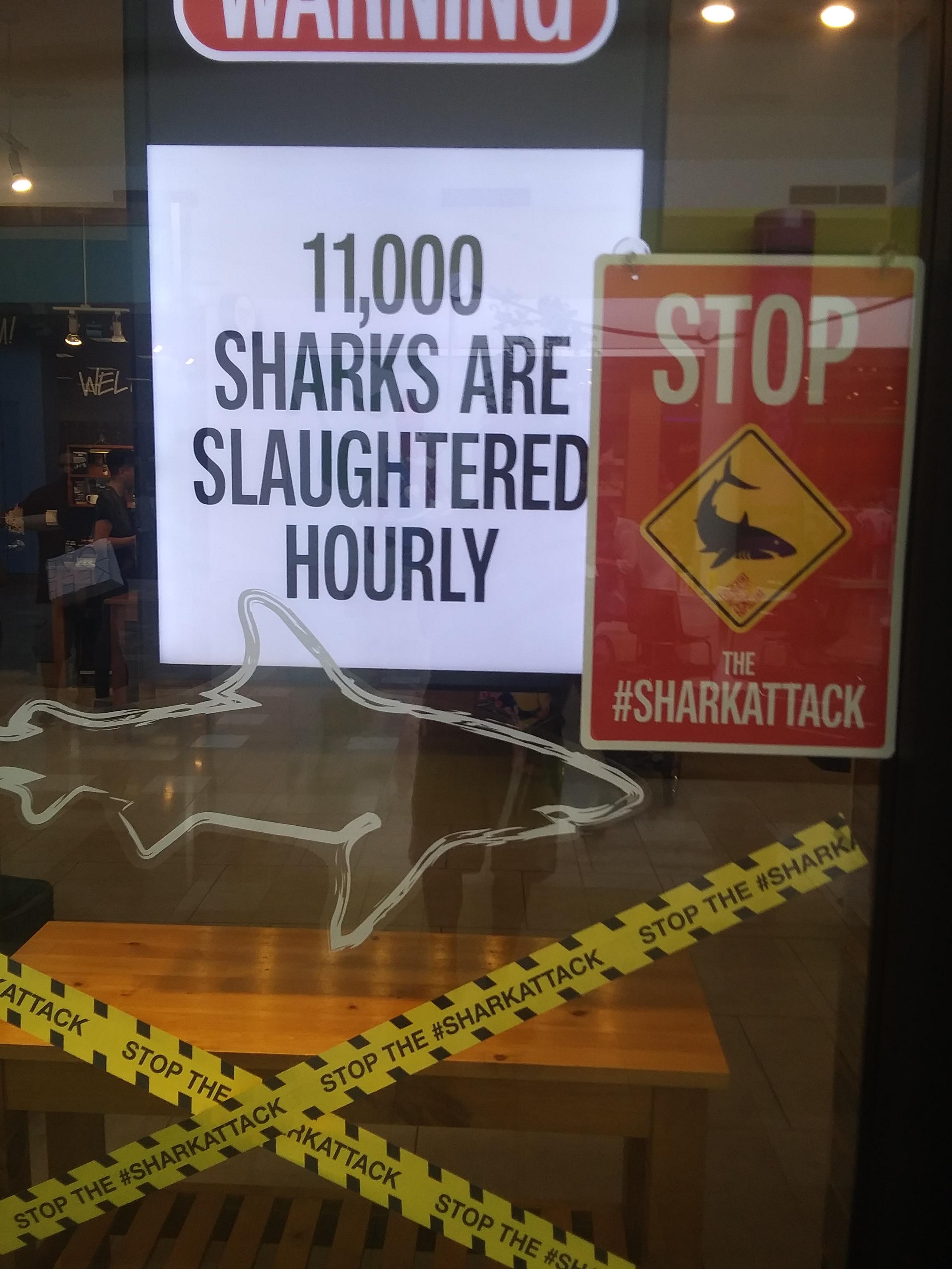 The real shark attack | Scrolller