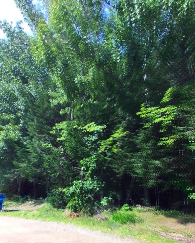 The reflection of my window looks kind of trippy | Scrolller