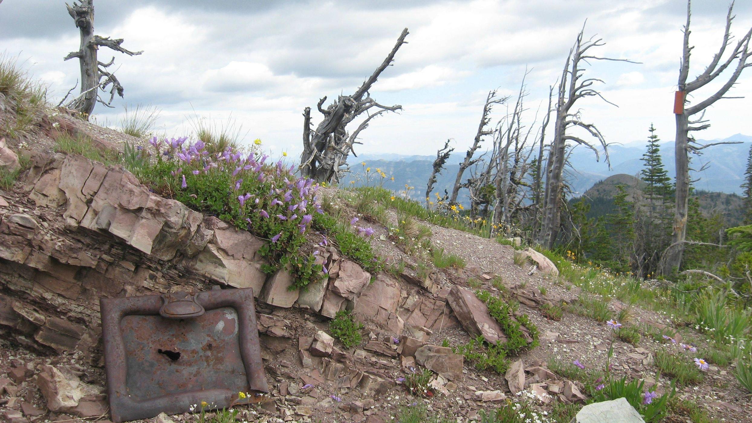 The remains of Picture Ridge Lookout, Bob Marshall Wilderness, Montana, USA | Scrolller