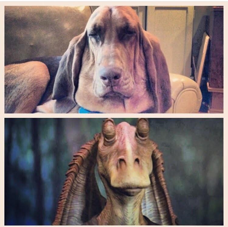 The resemblance. Just stunning. | Scrolller