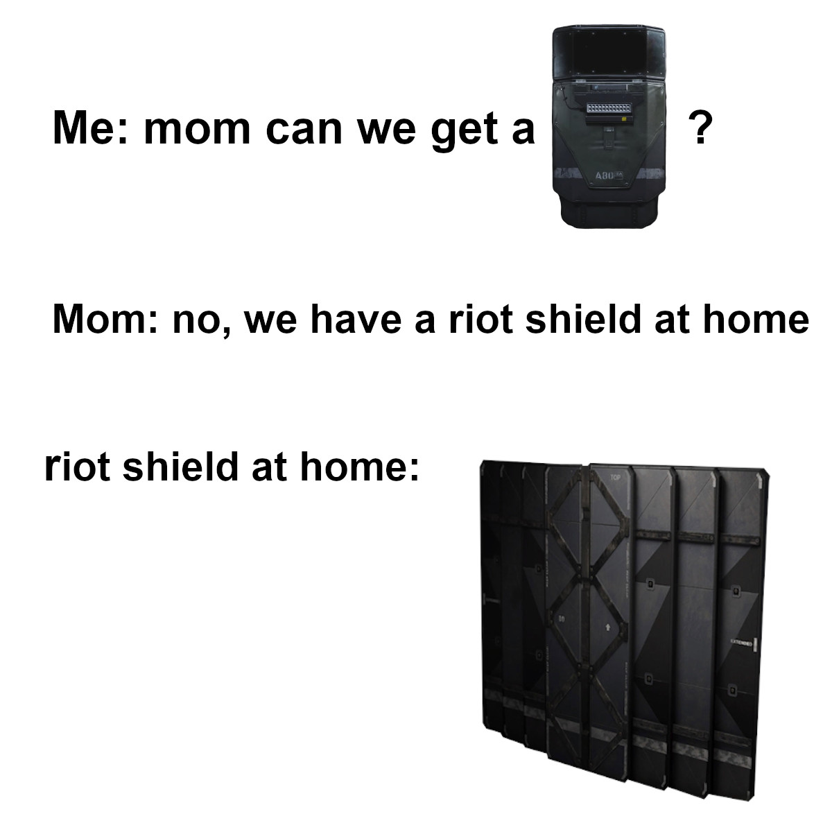 the riot shield is meta | Scrolller