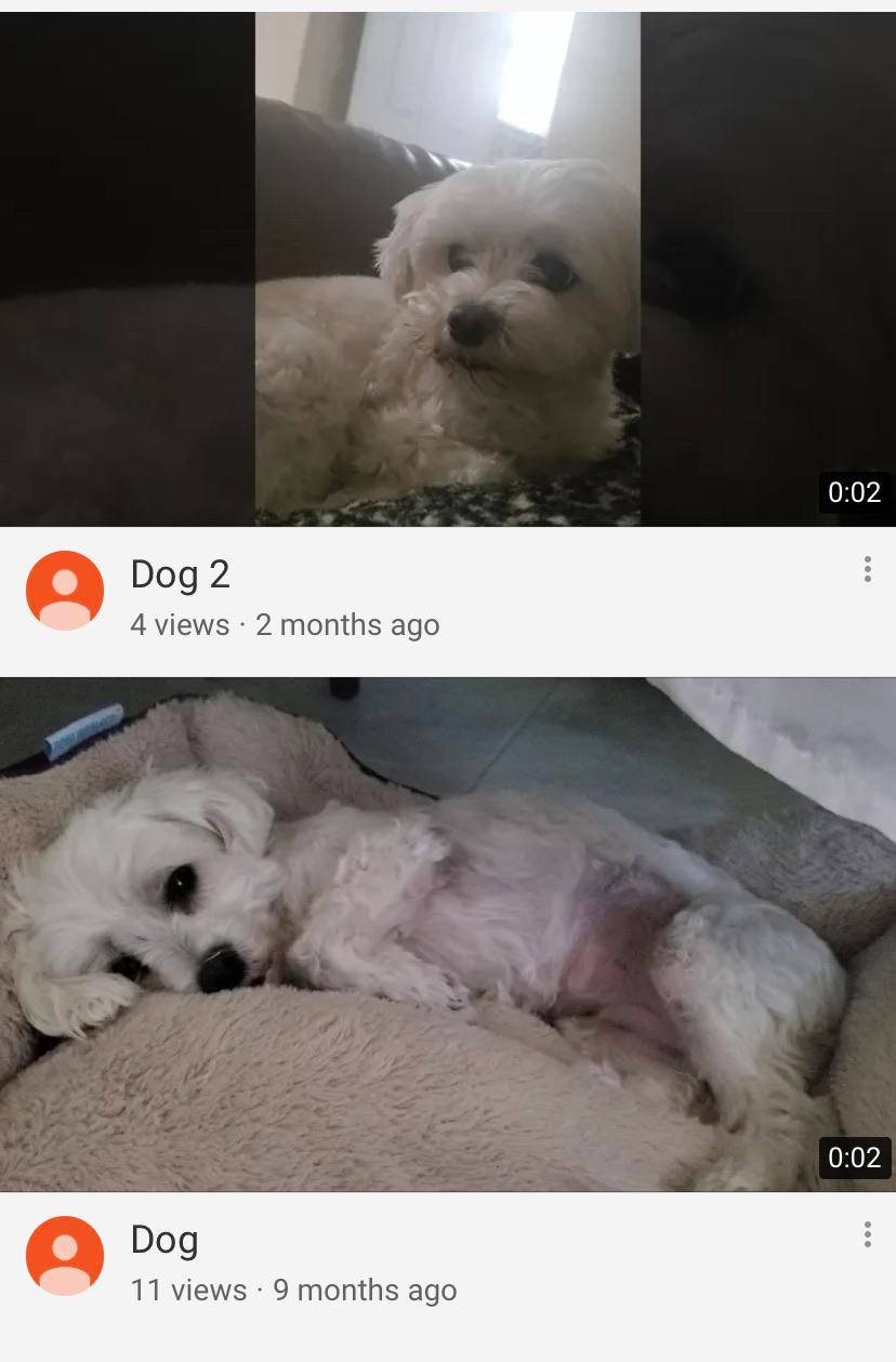 The sequel we waited 7 months for! | Scrolller