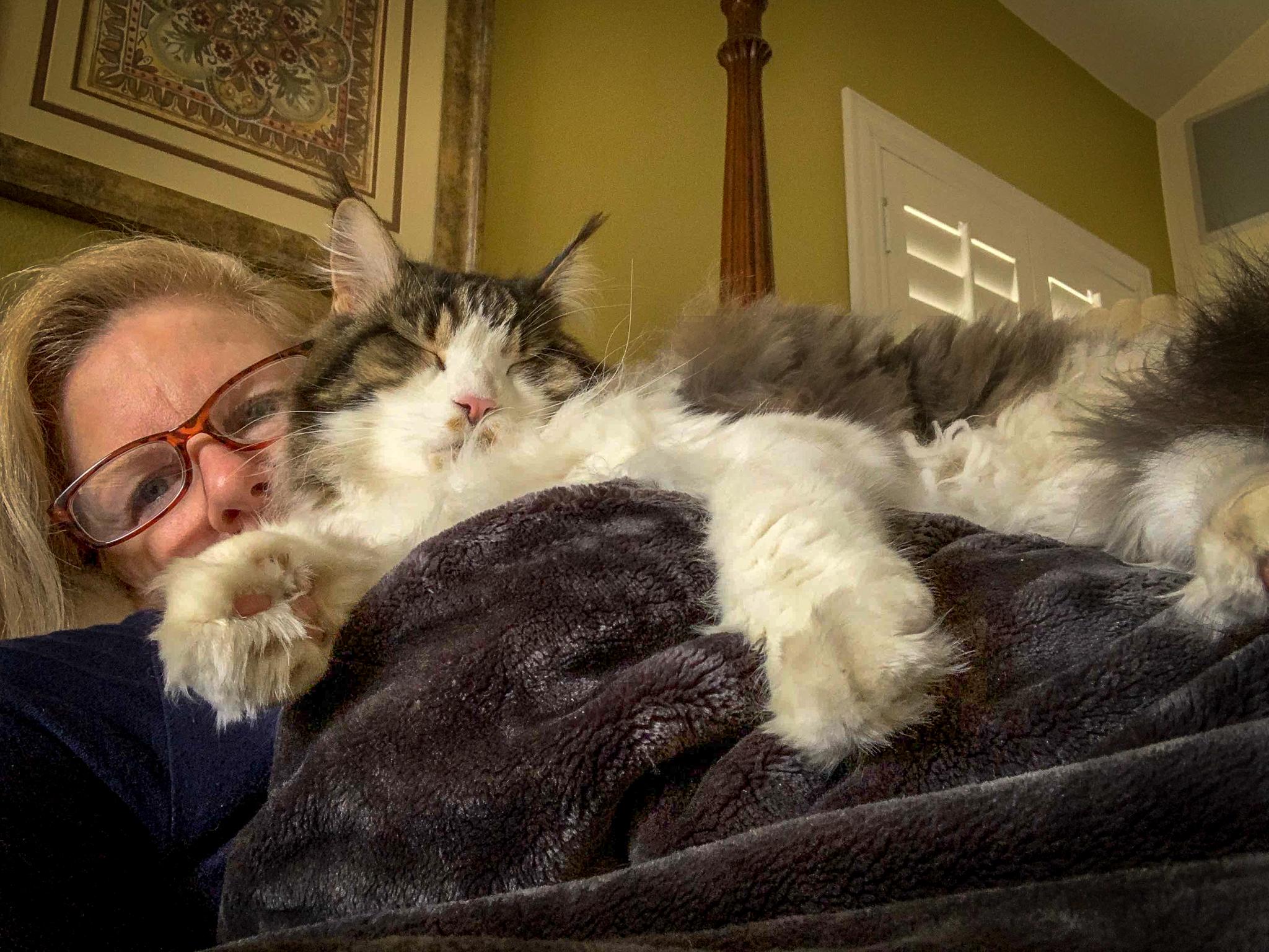 The snuggle is real! | Scrolller