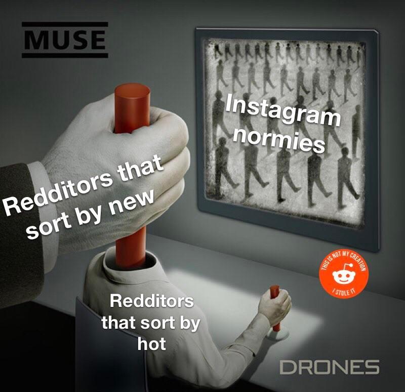 The supreme hierarchy | Scrolller