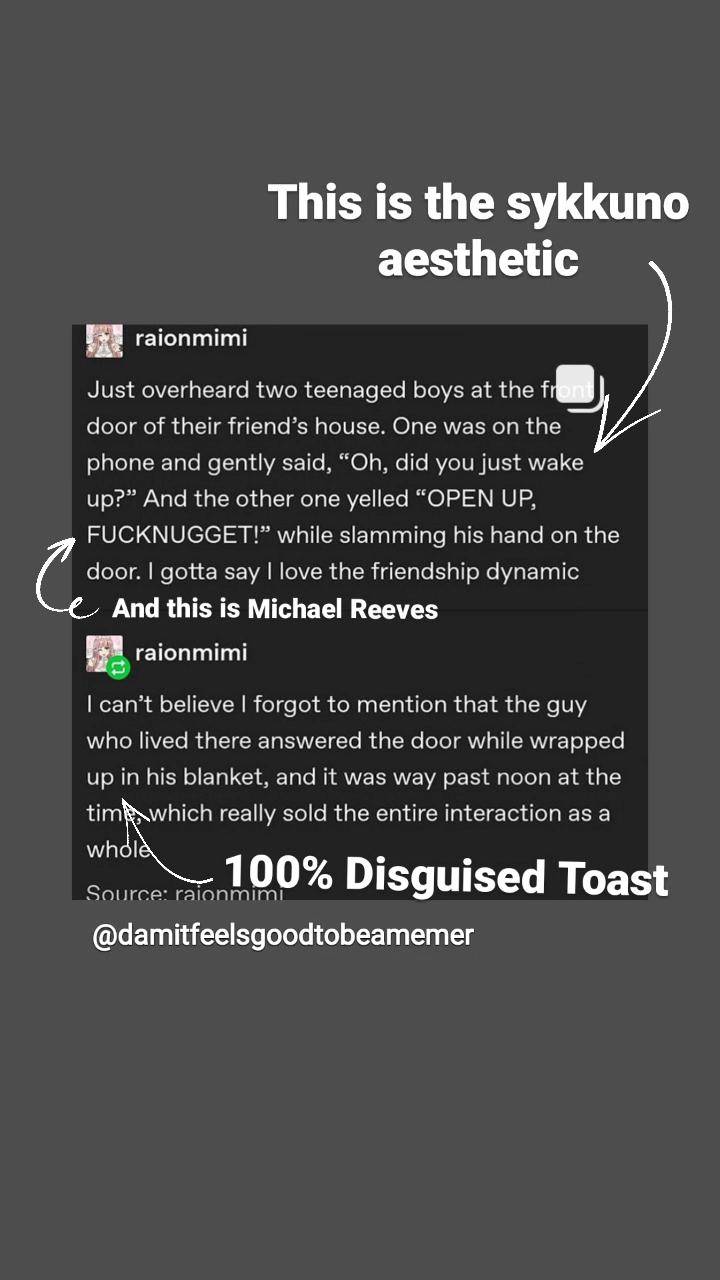 The Sykkuno-Reeves-Toast dynamic explained. Thoughts? | Scrolller