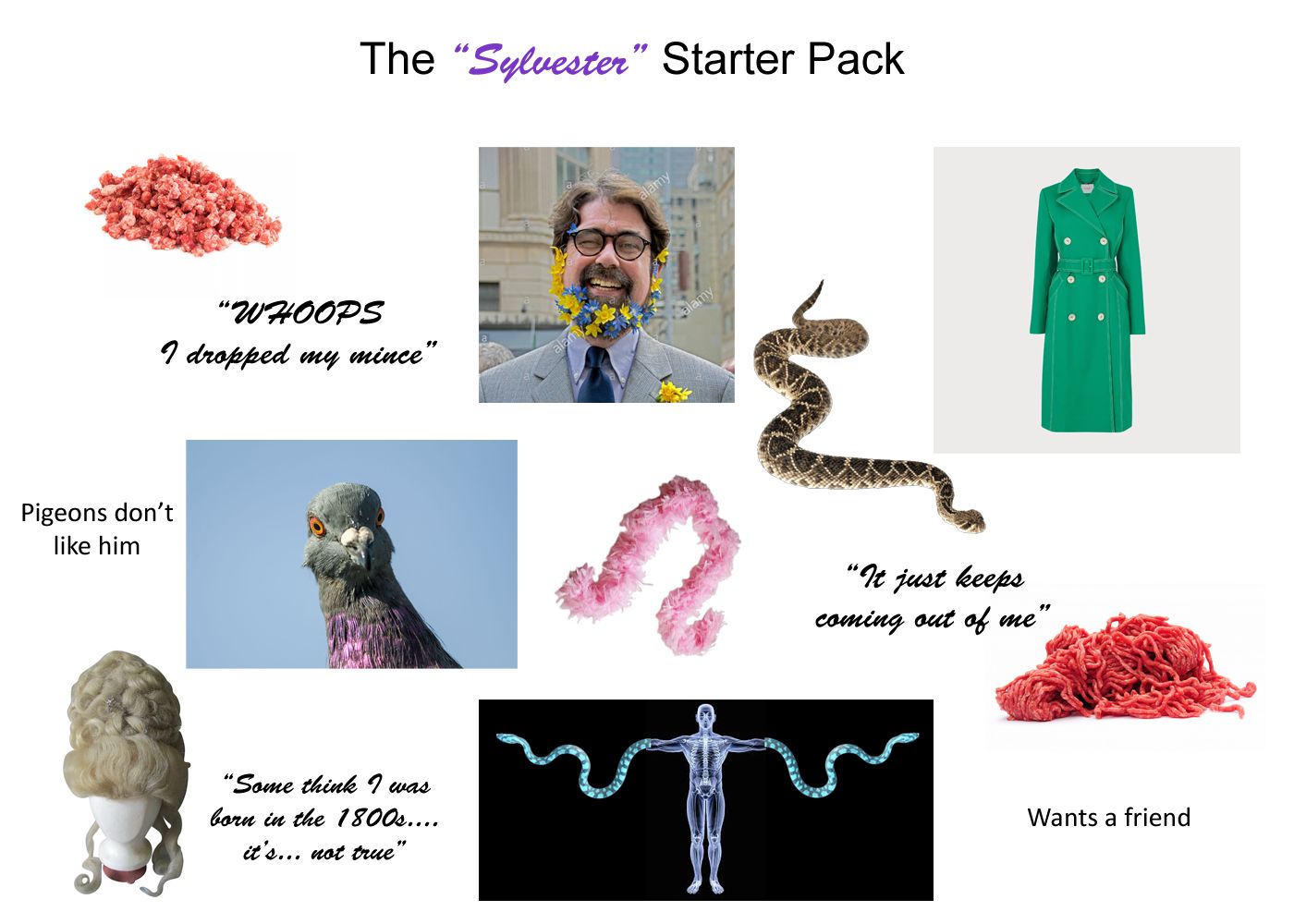 The "Sylvester" Starter Pack | Scrolller