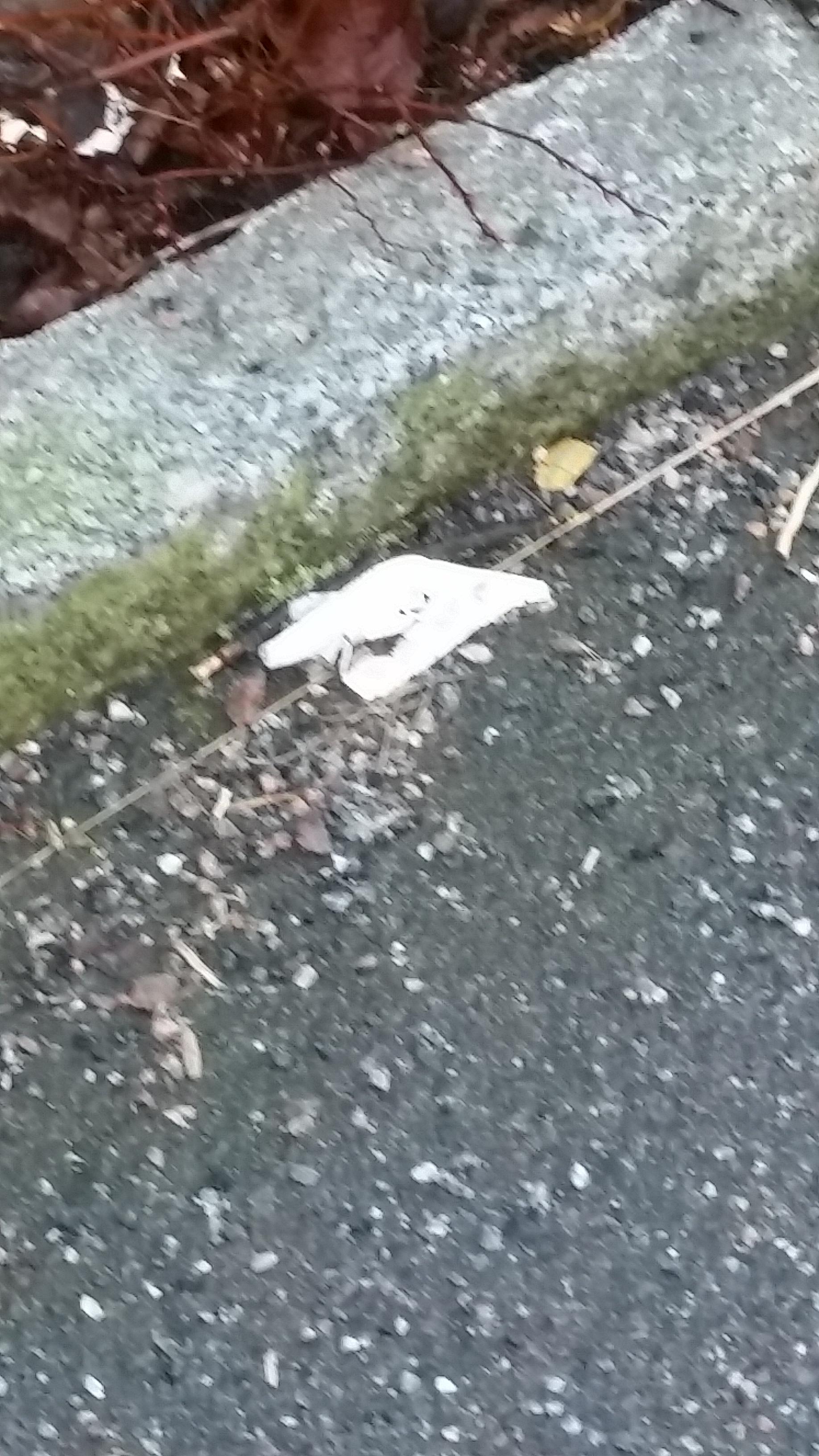 The trash on the sidewalk got me | Scrolller