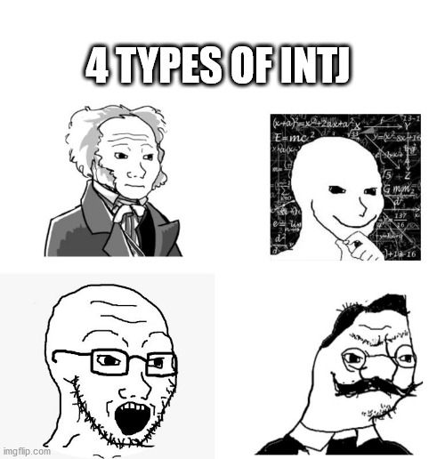 The types of the INTJ | Scrolller