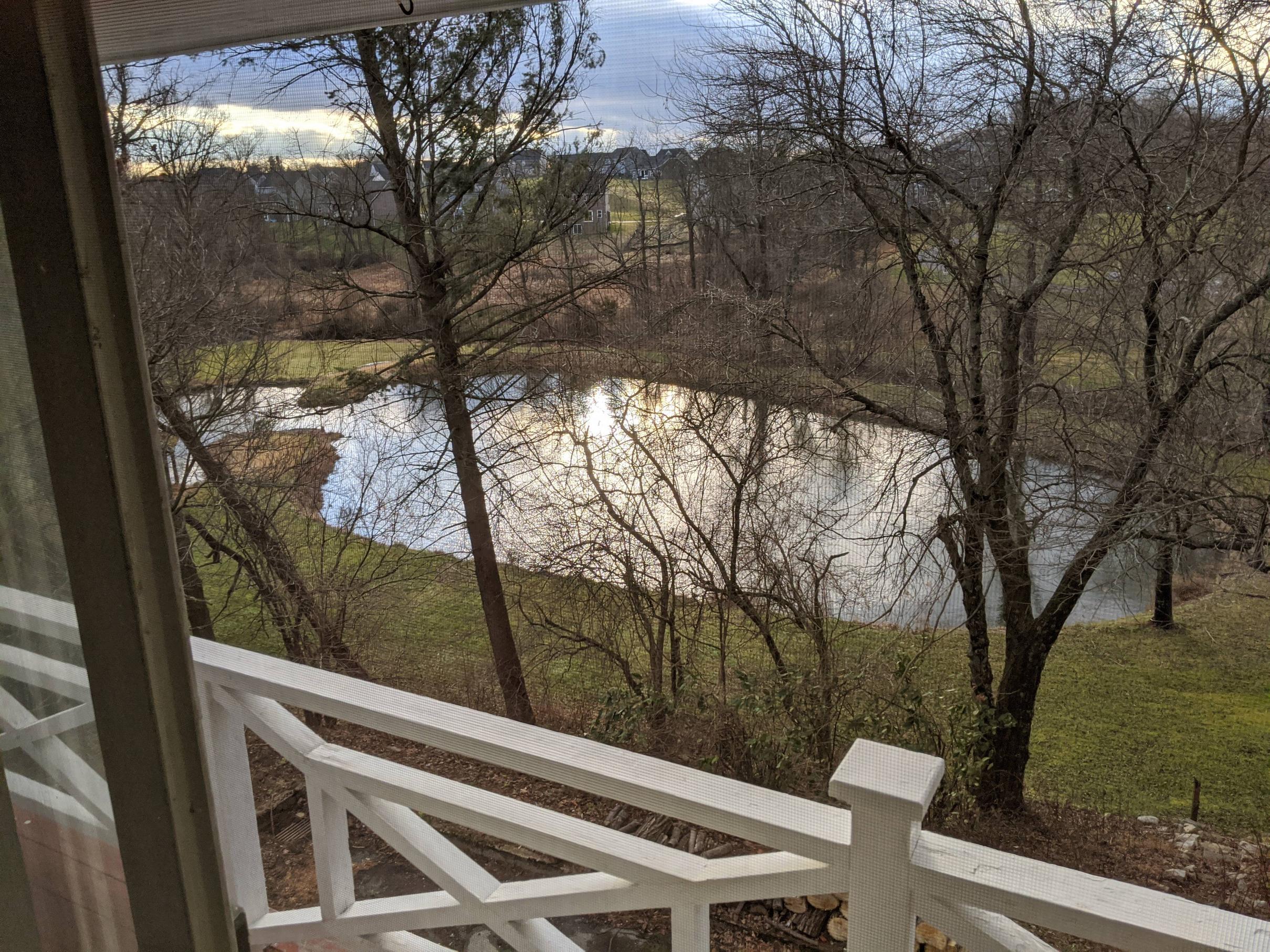 The view from our new bedroom window. I'm never gonna get tired of waking up to this | Scrolller