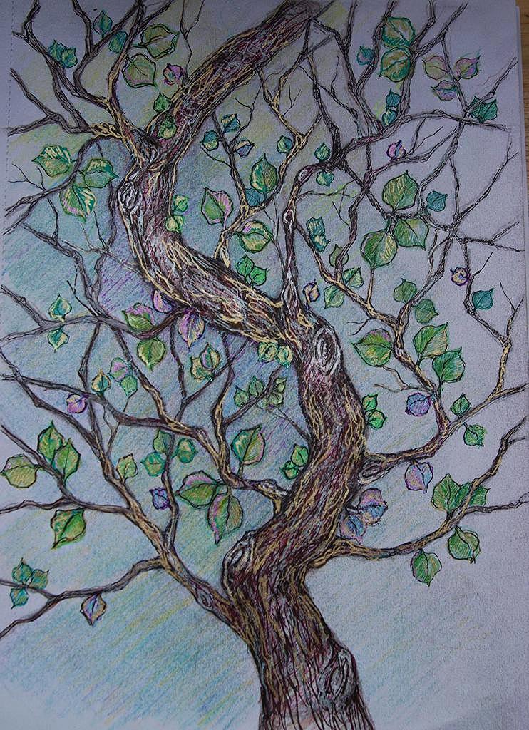 The Vine and the Branches, original content | Scrolller