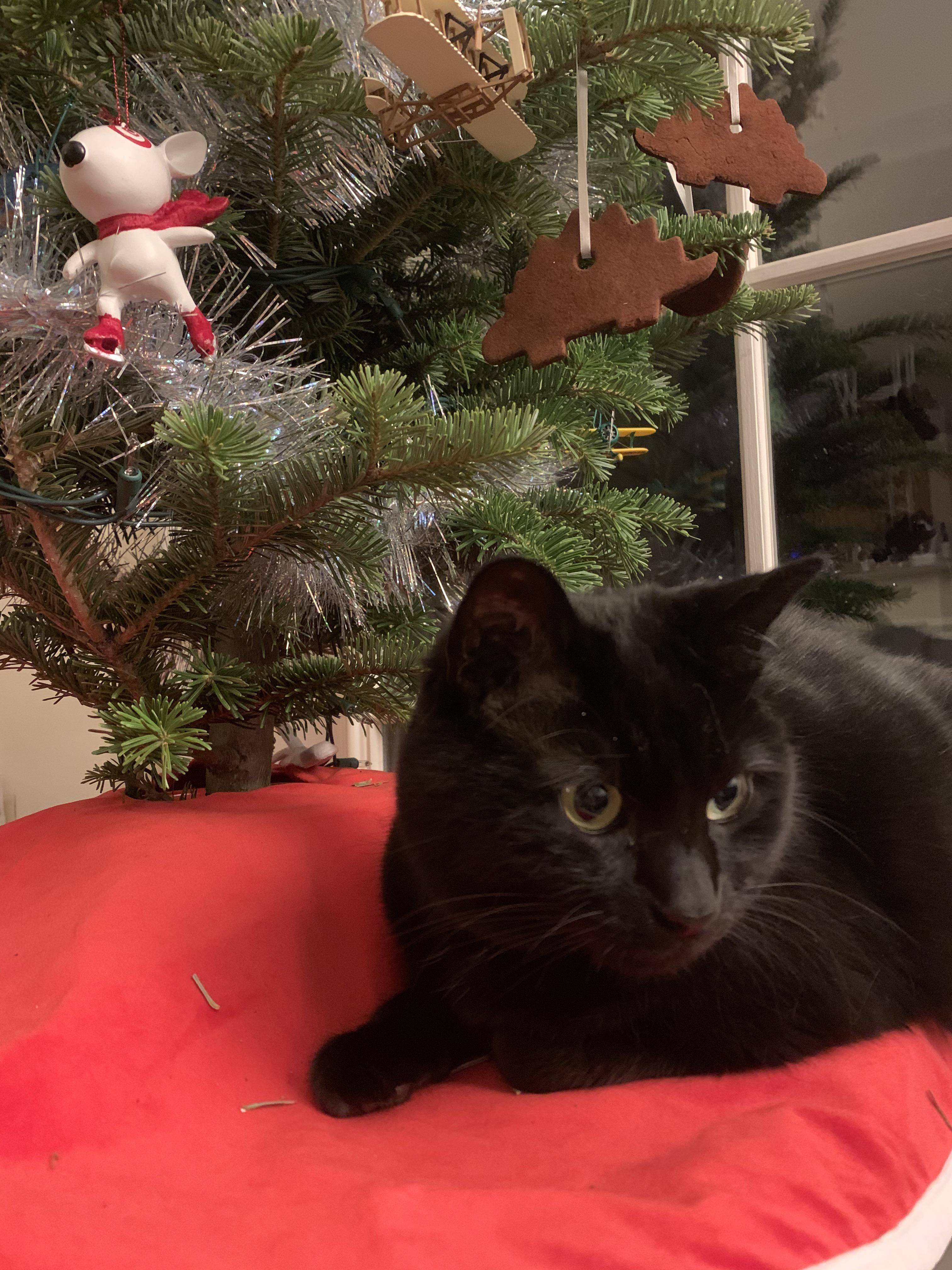 The void is wishing every one here a happy whatever it is you celebrate ...