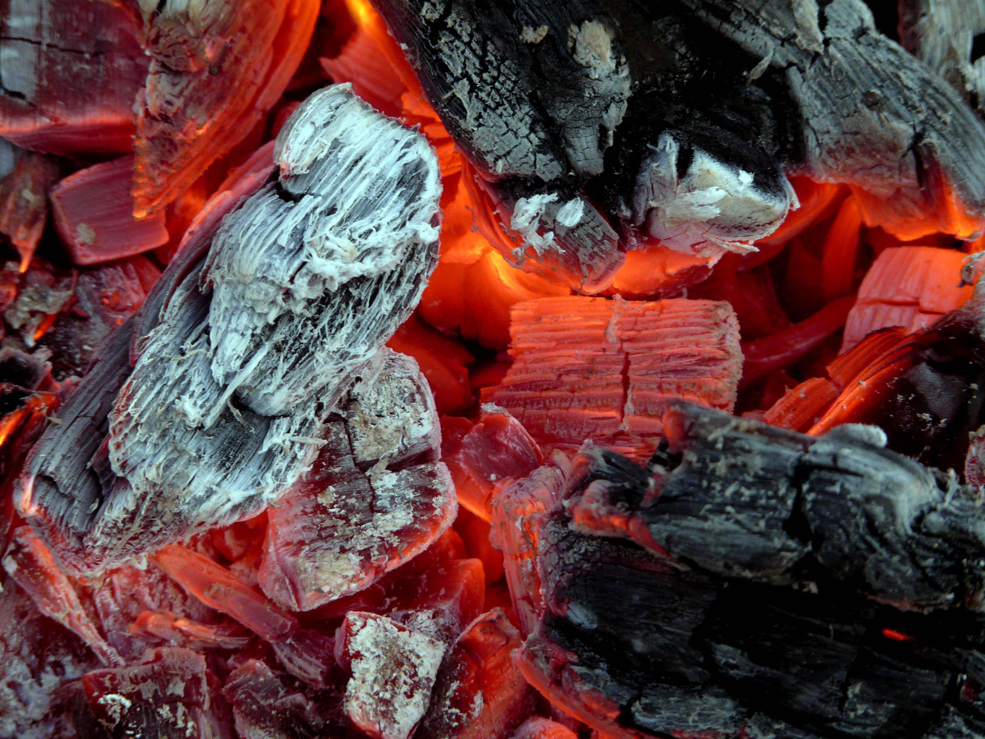 The warmth of the hearth. | Scrolller