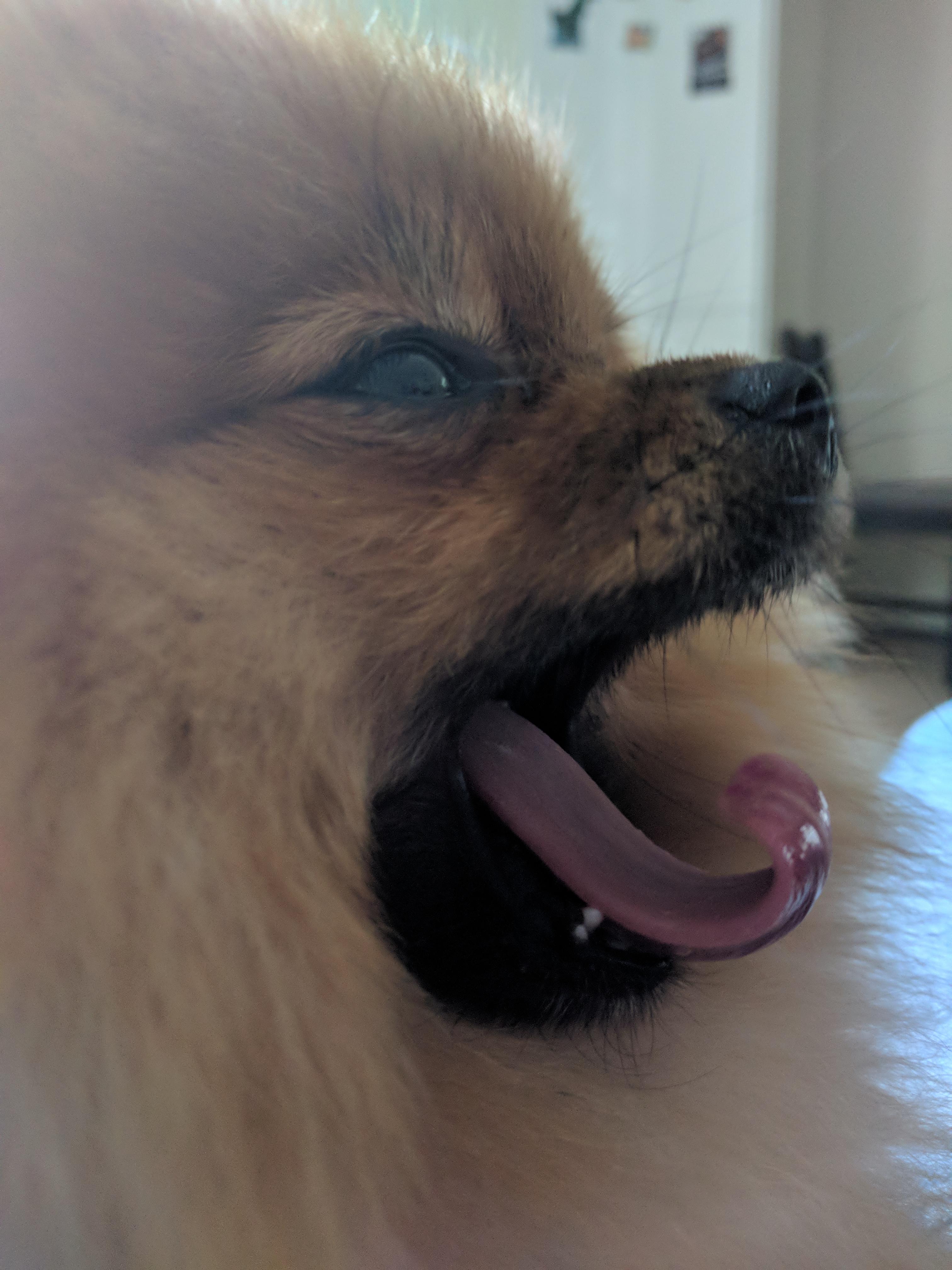 The wave | Scrolller