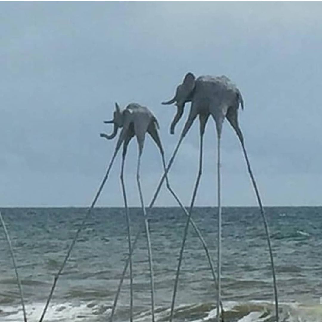 The wheels keep on turning and turning. They only stop for the Blessed. | Scrolller