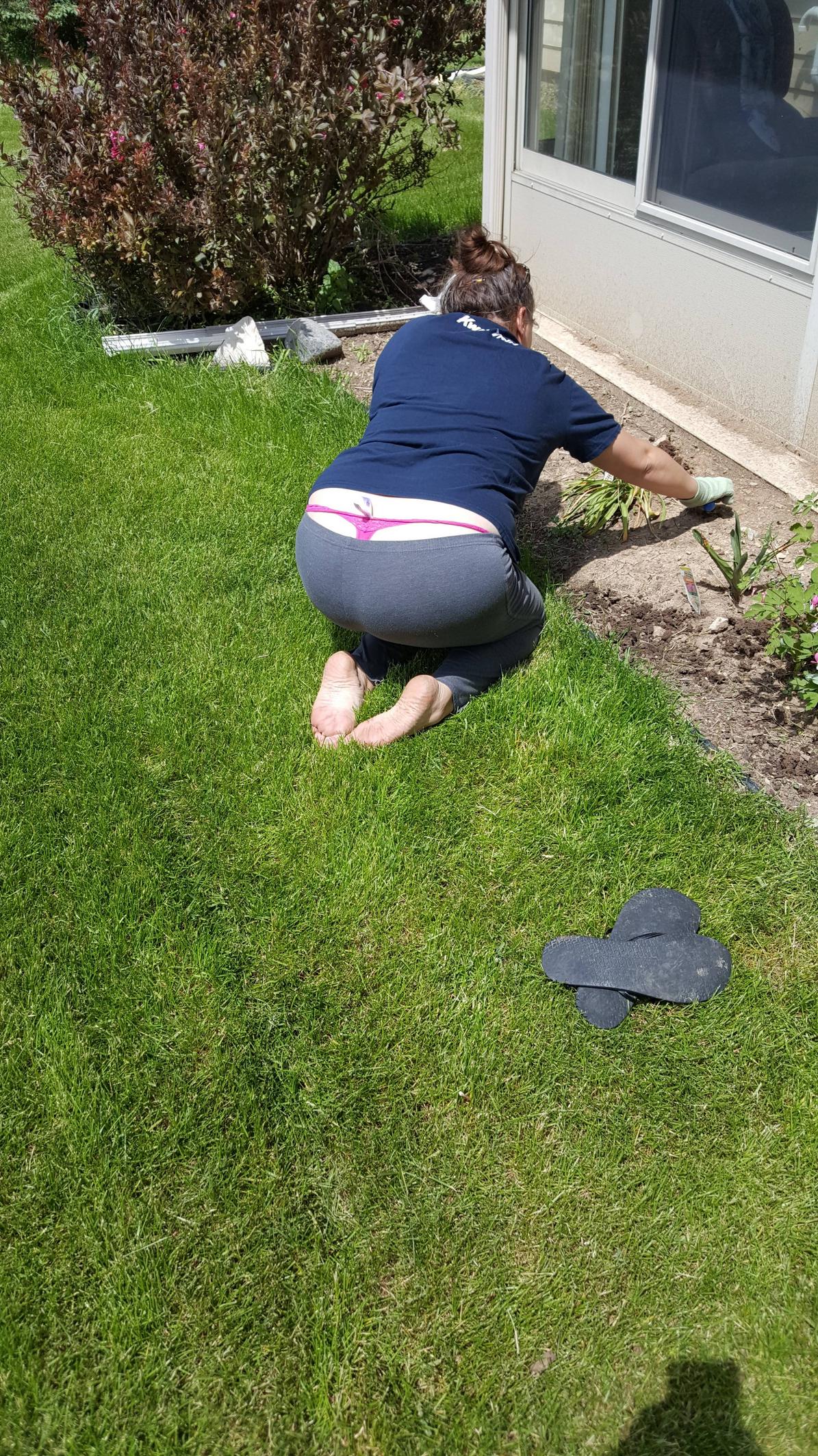 The wife doing some weeding | Scrolller