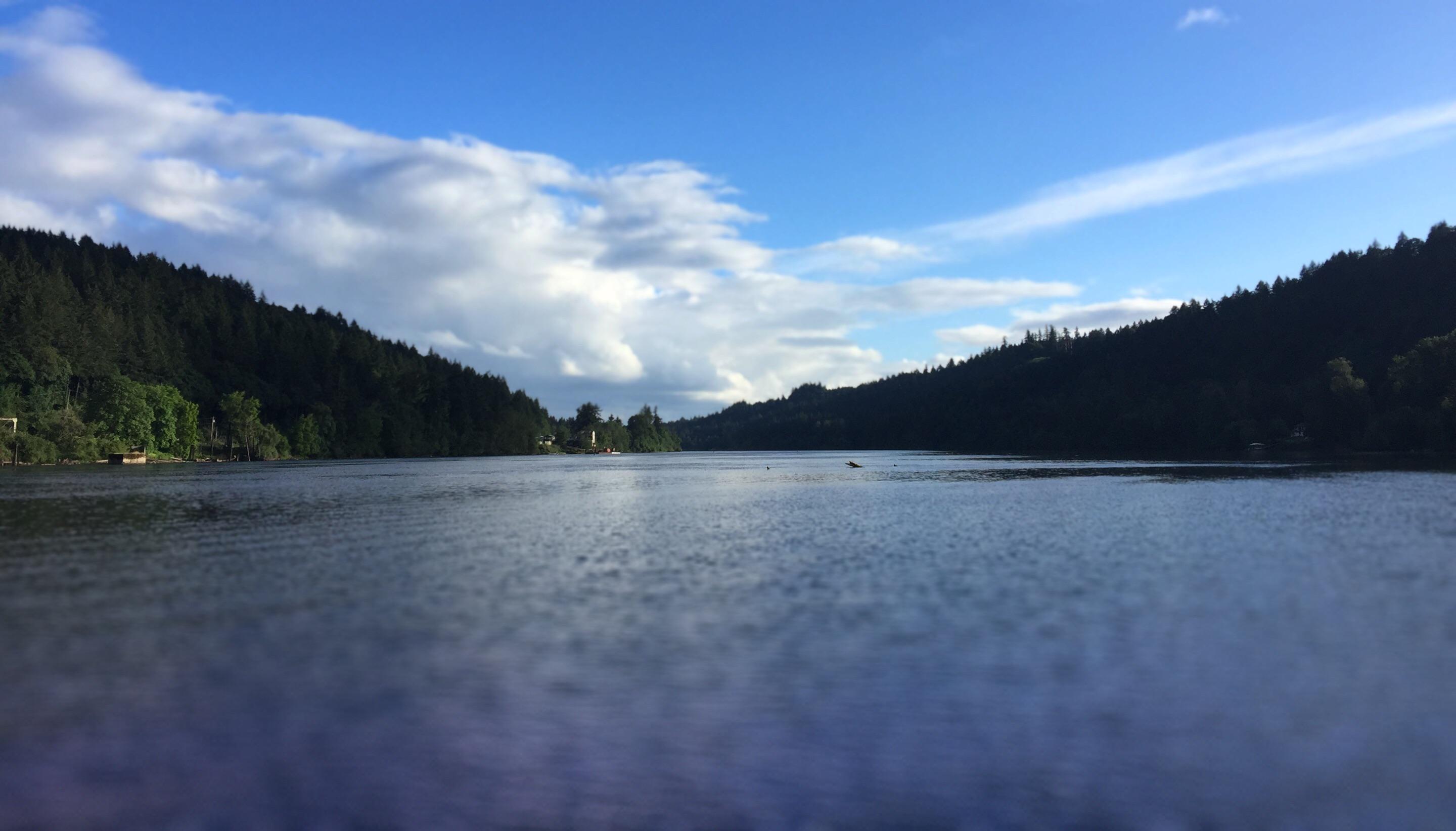 The Willamette River | Scrolller