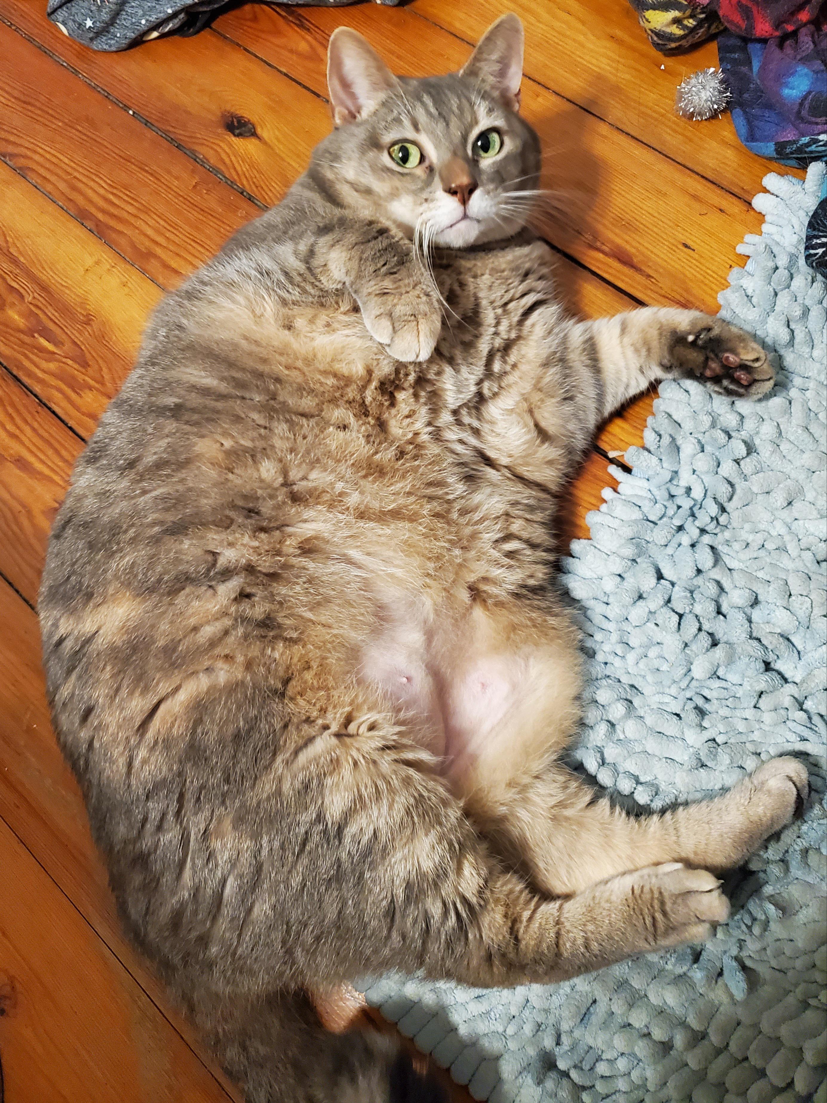 Them thighs tho | Scrolller