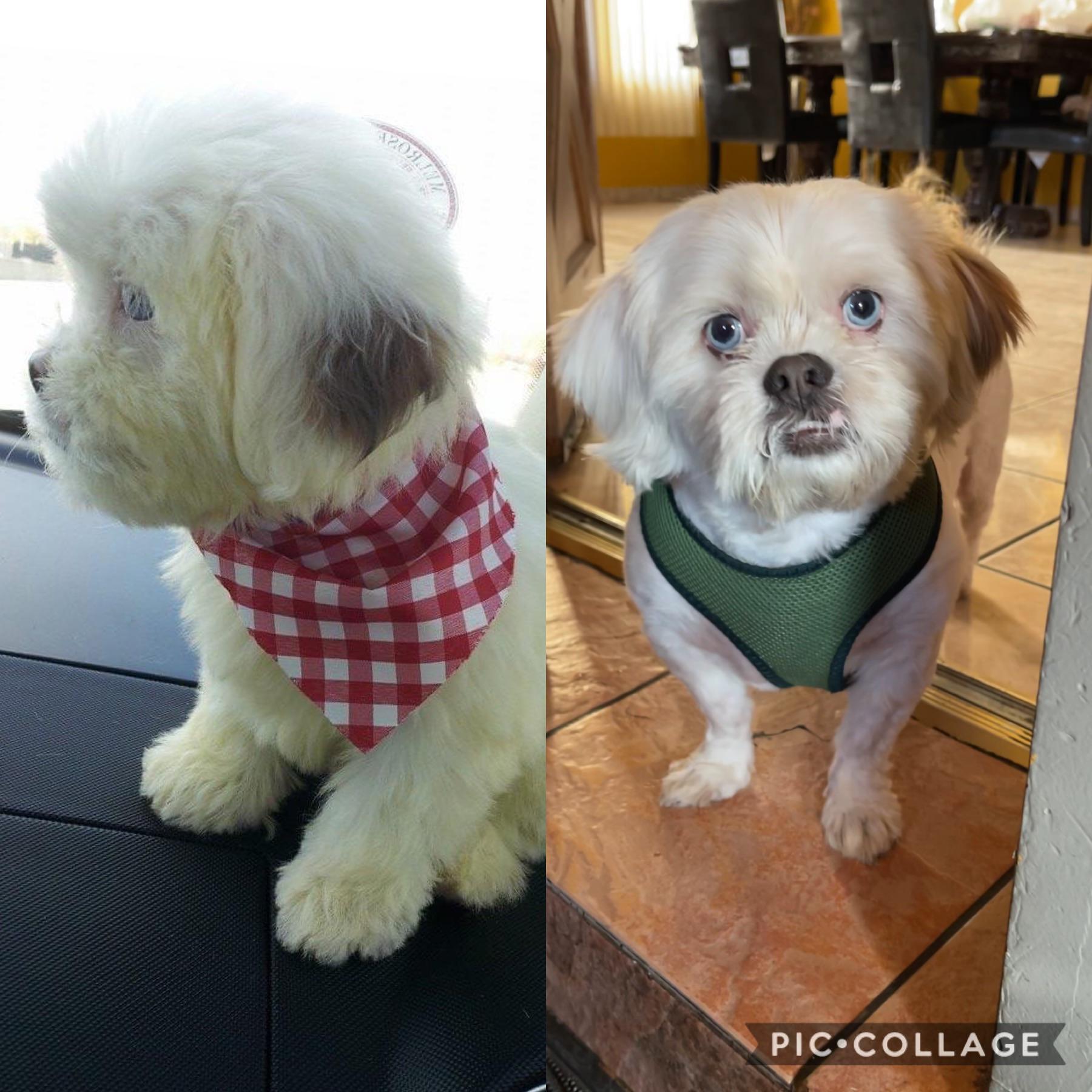 Then and now | Scrolller