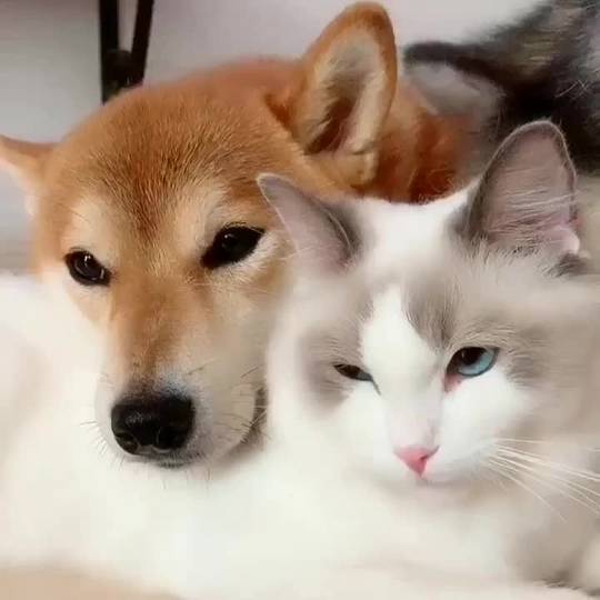 There is always that one guy in your group | Scrolller