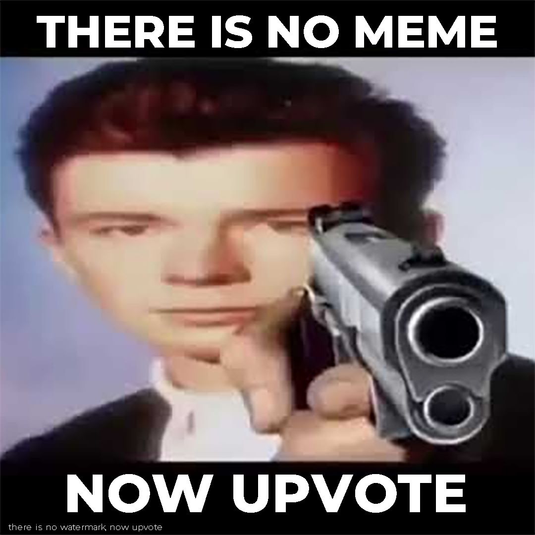 there is no meme | Scrolller