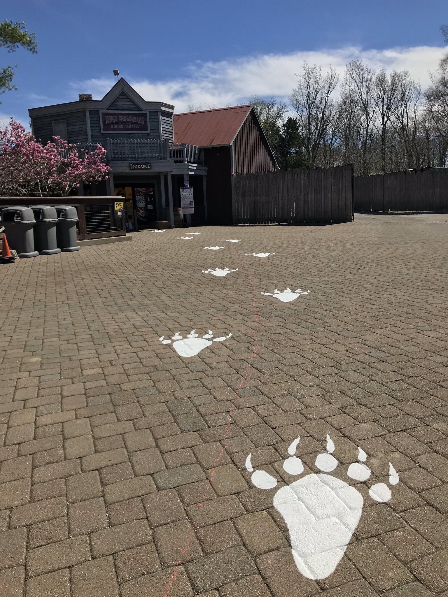 There’s Beast tracks leading to The Beast at KI | Scrolller