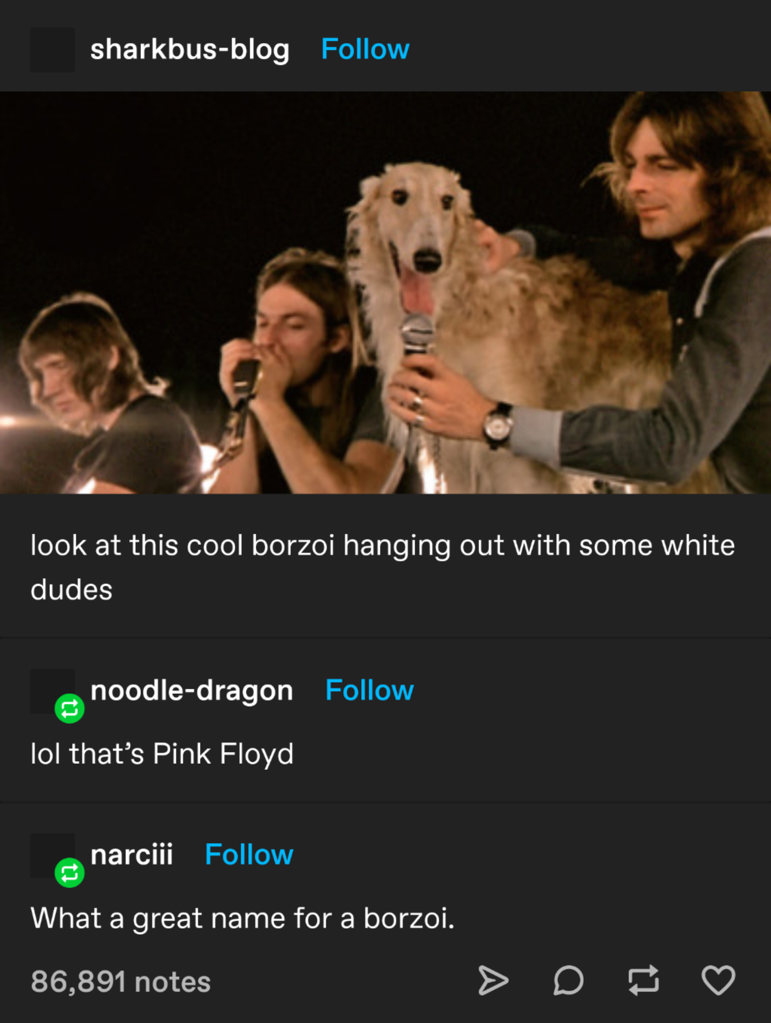 There's probably a couple dozen references I should put here | Scrolller