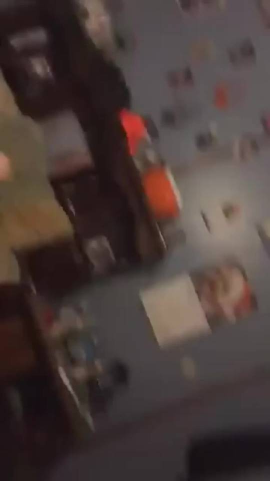 They Are Getting Into It | Scrolller