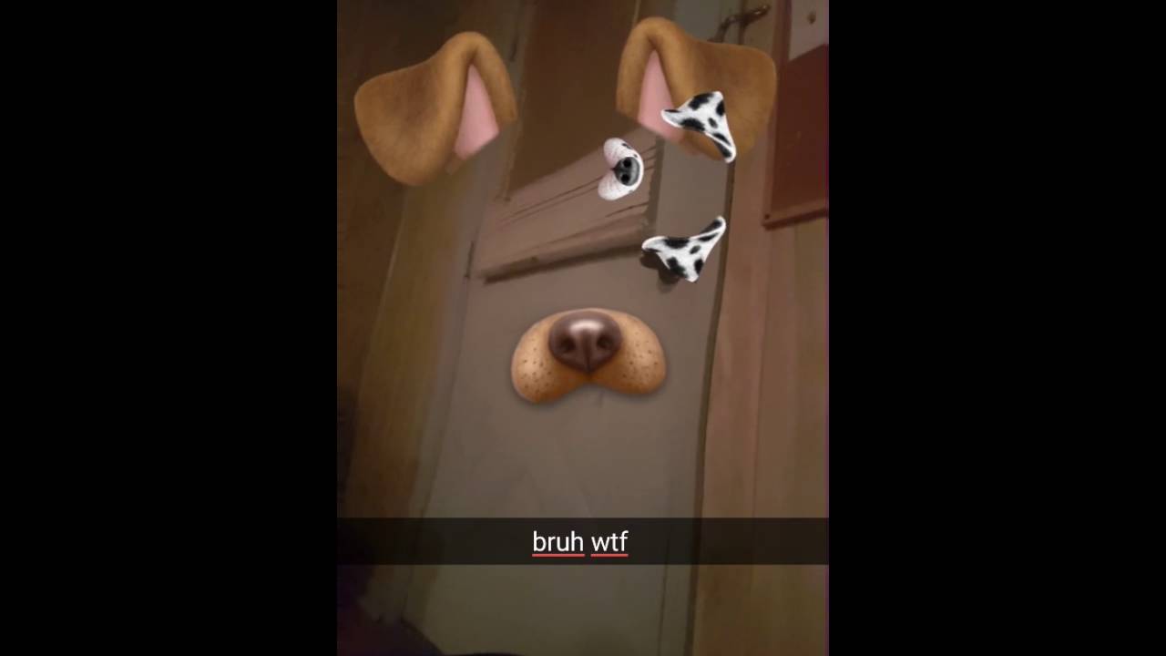 They have evolved | Scrolller