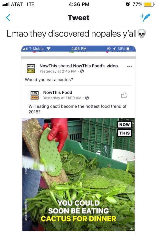 They’ve discovered our secret | Scrolller