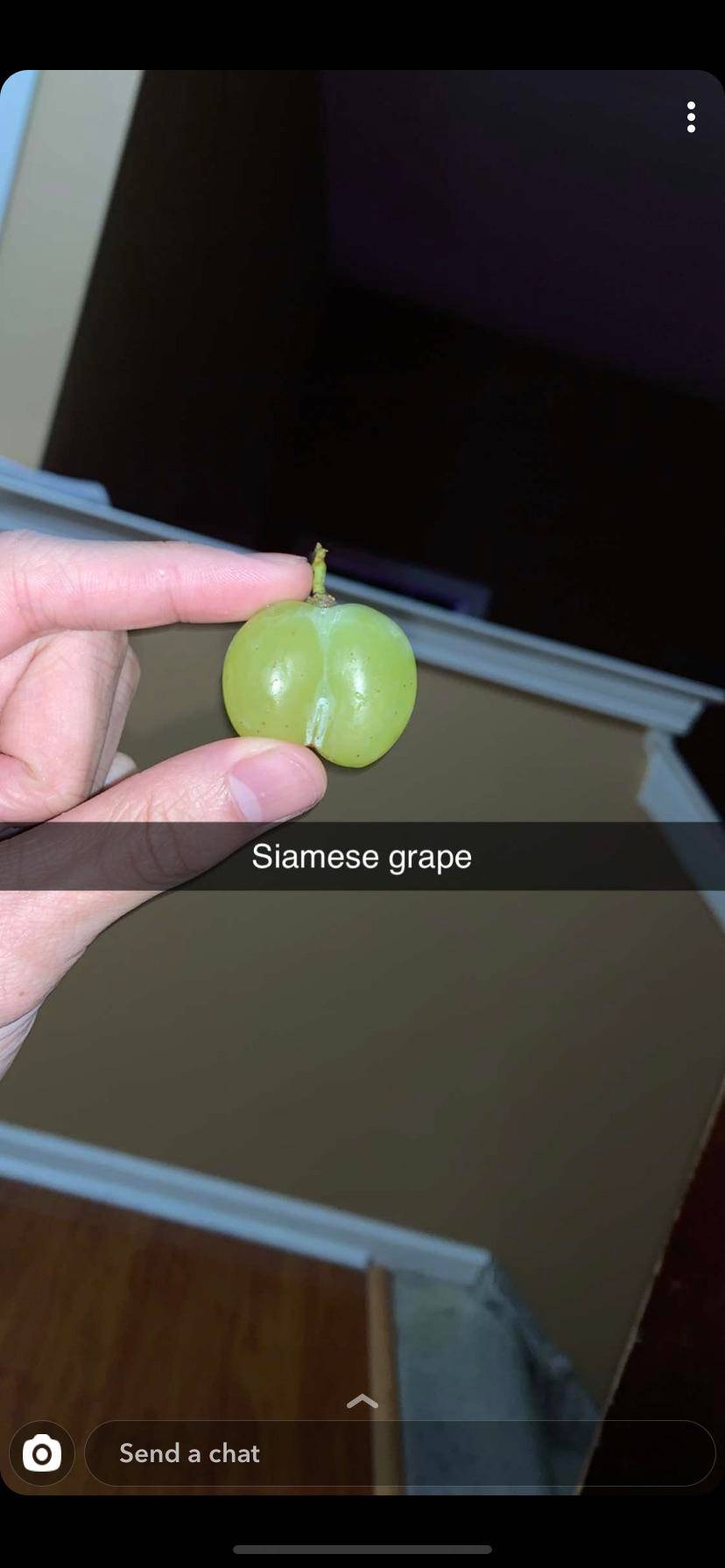 Thicc grape | Scrolller