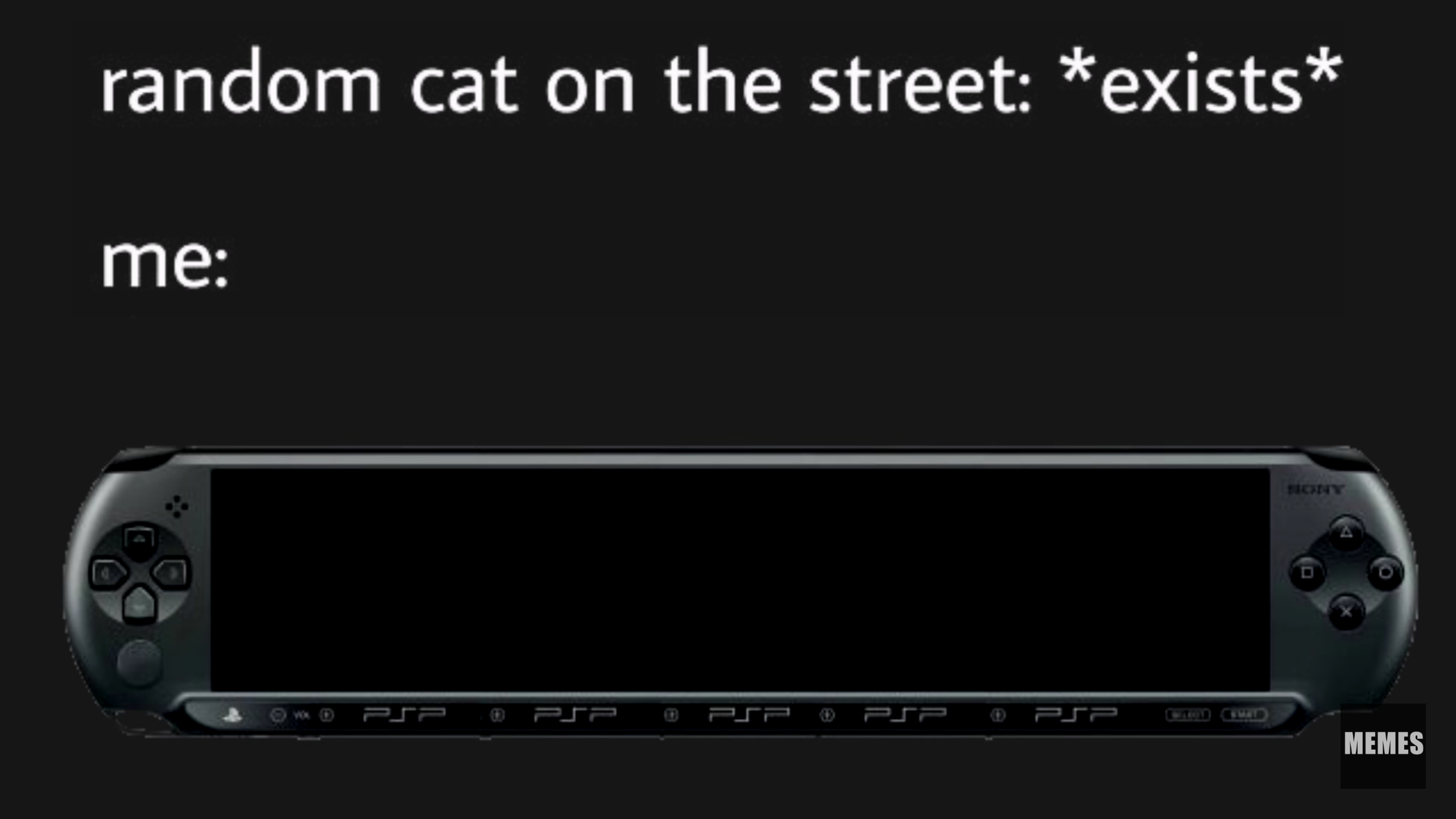 Think this subreddit needs more memes | Scrolller