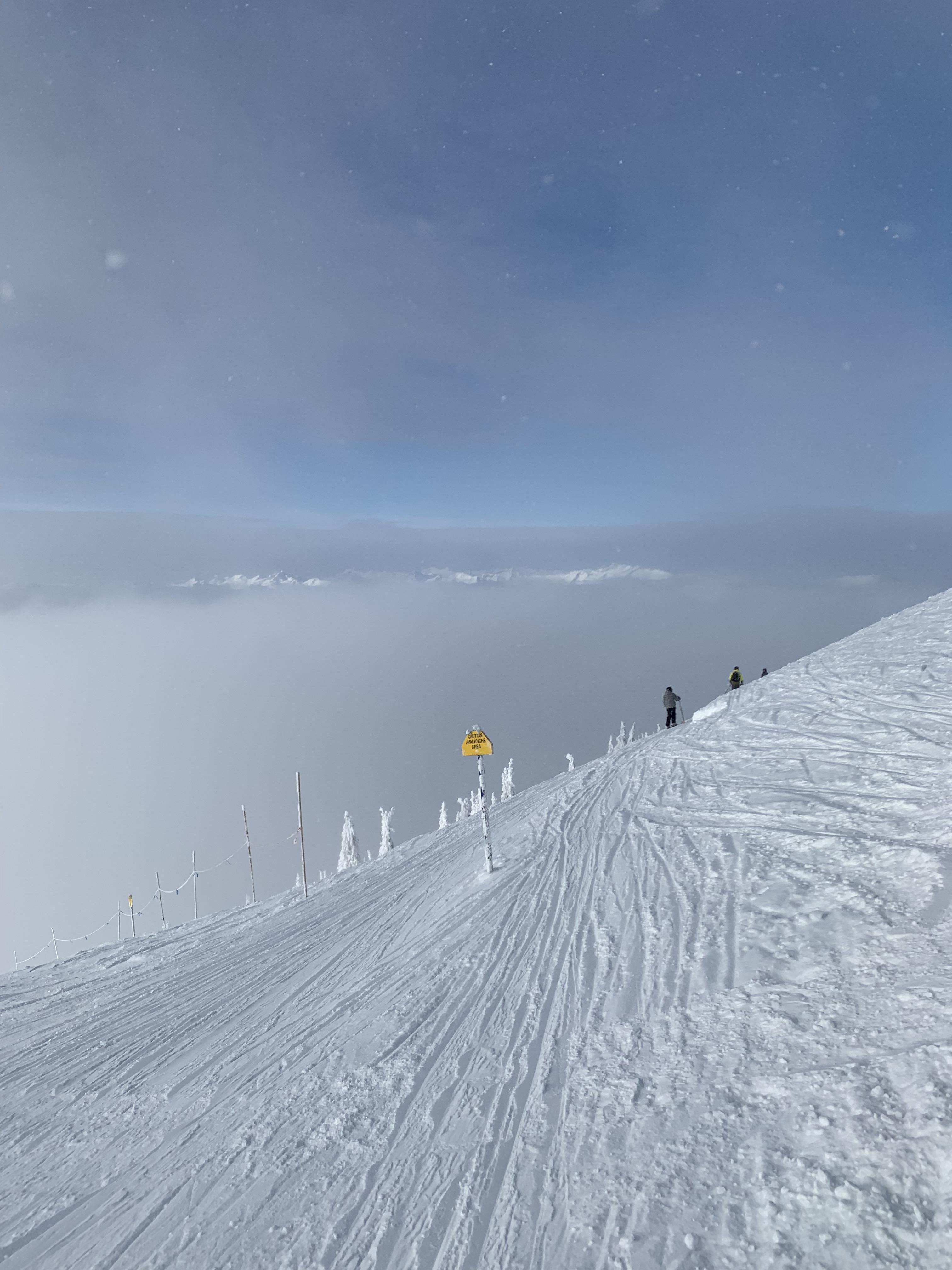 Thinking positive thoughts today | Scrolller