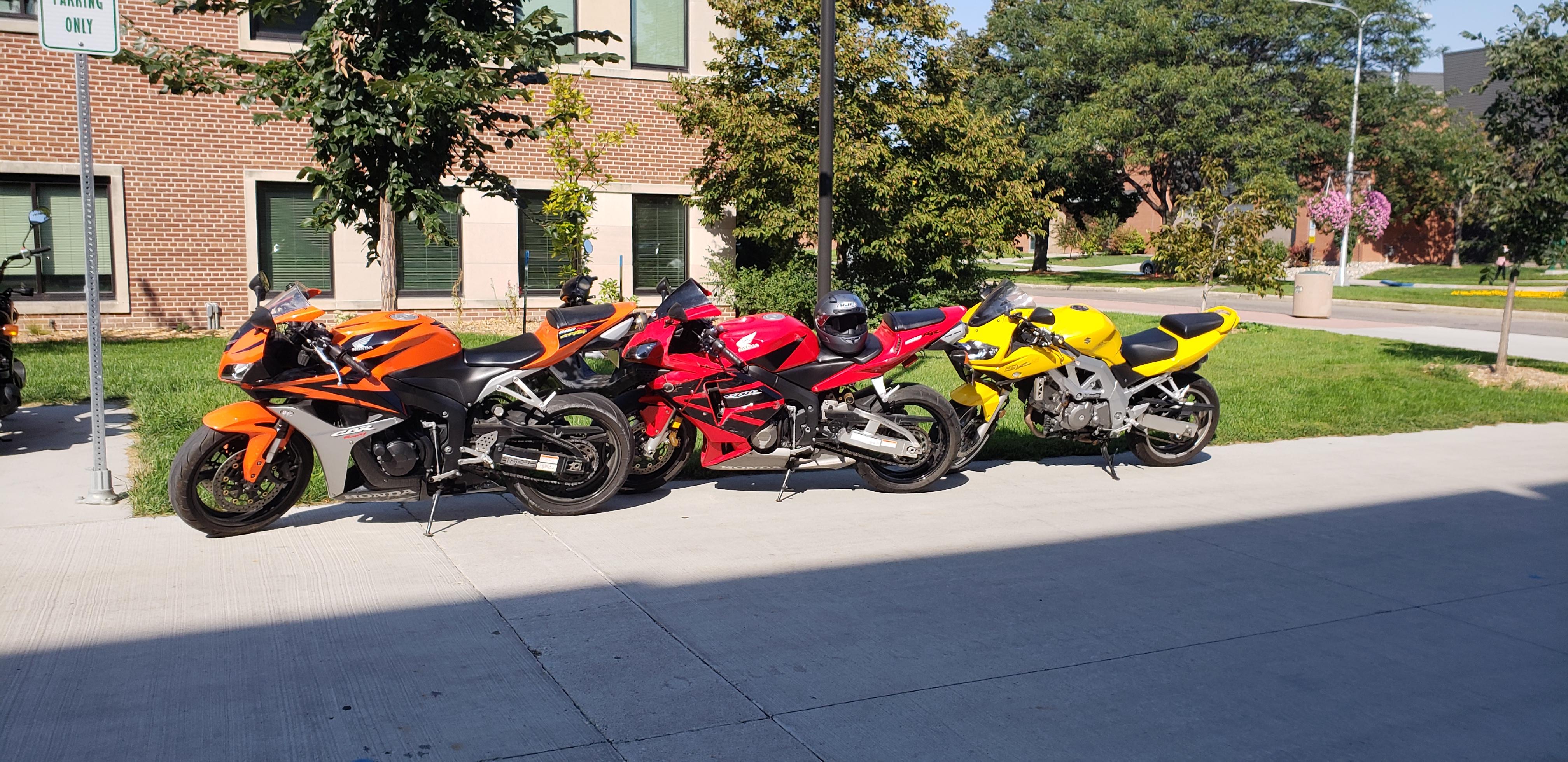 This Beautiful Lineup Right Outside My Dorm | Scrolller