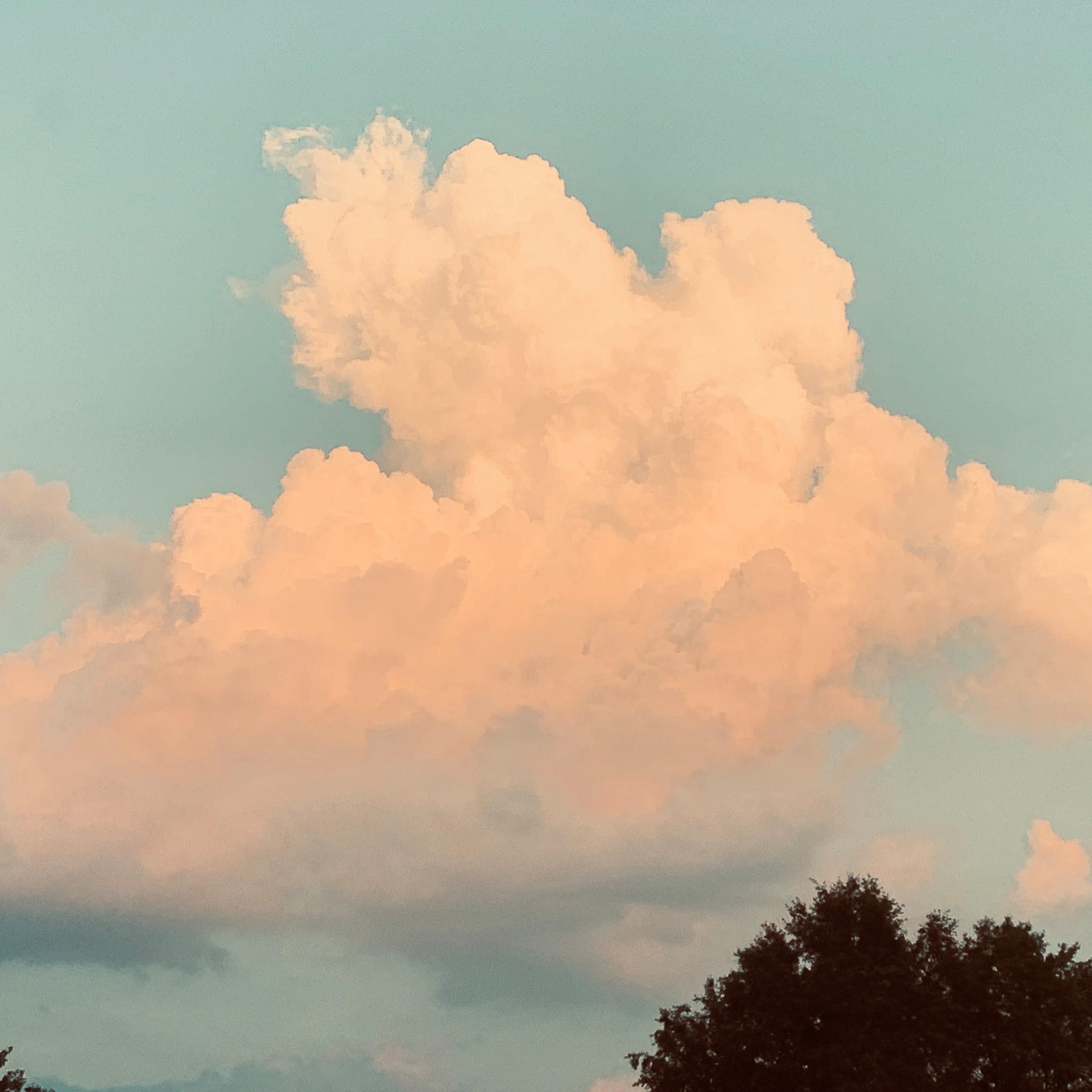 This cloud picture I took looked like a painting to me when I zoomed in. | Scrolller