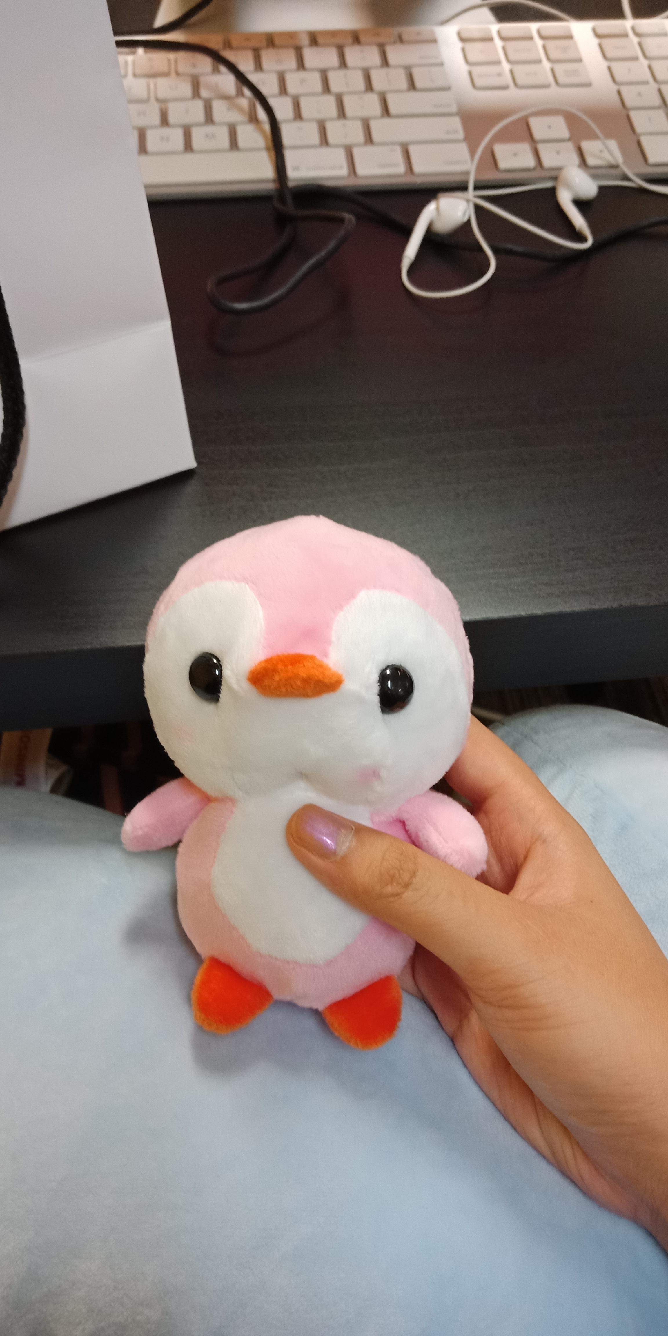 This Cutie Pie Scrolller