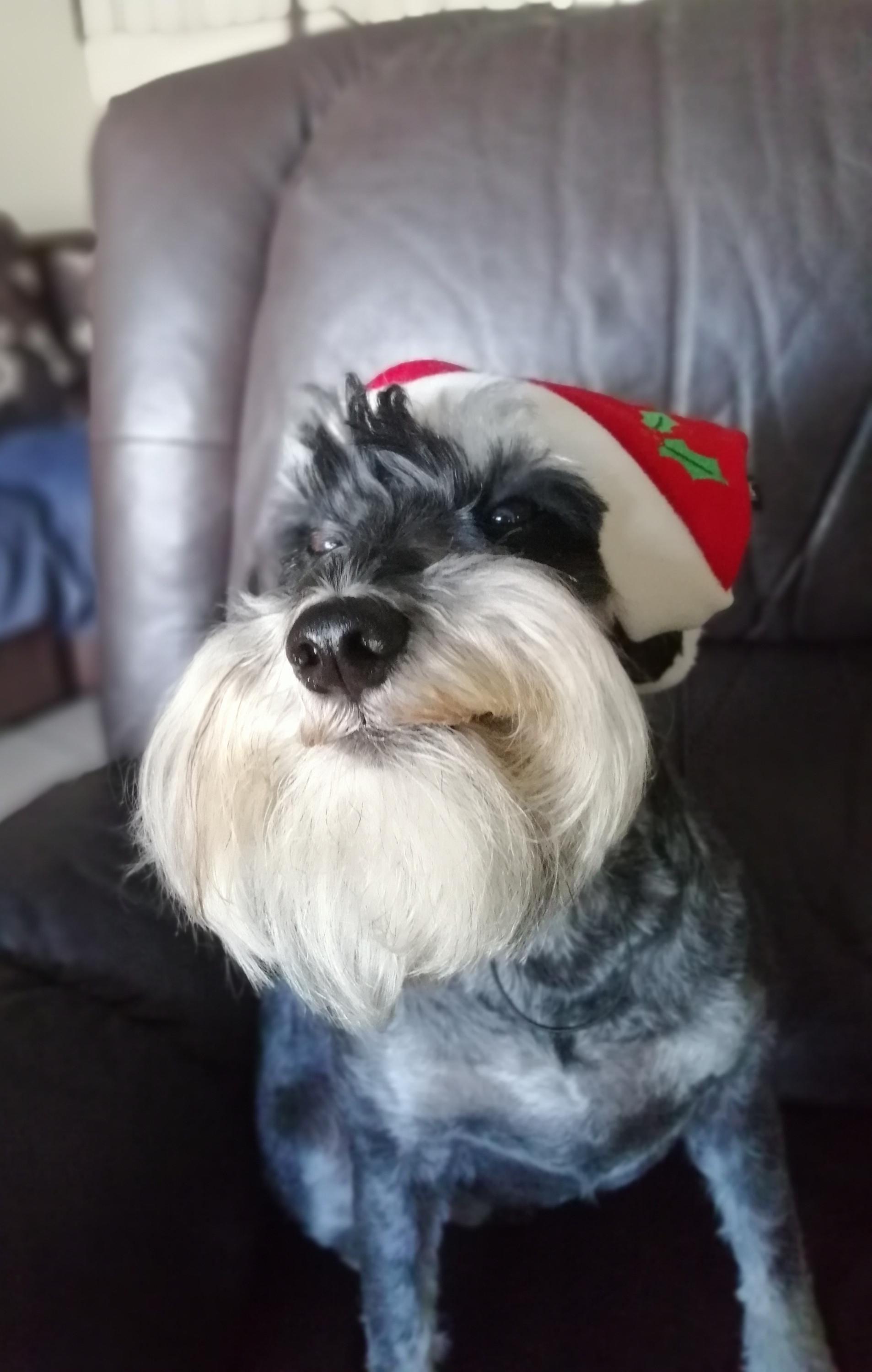 This goofy looking mf | Scrolller