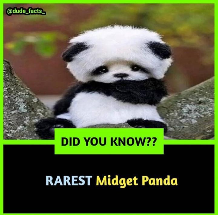 This gotta stop | Scrolller