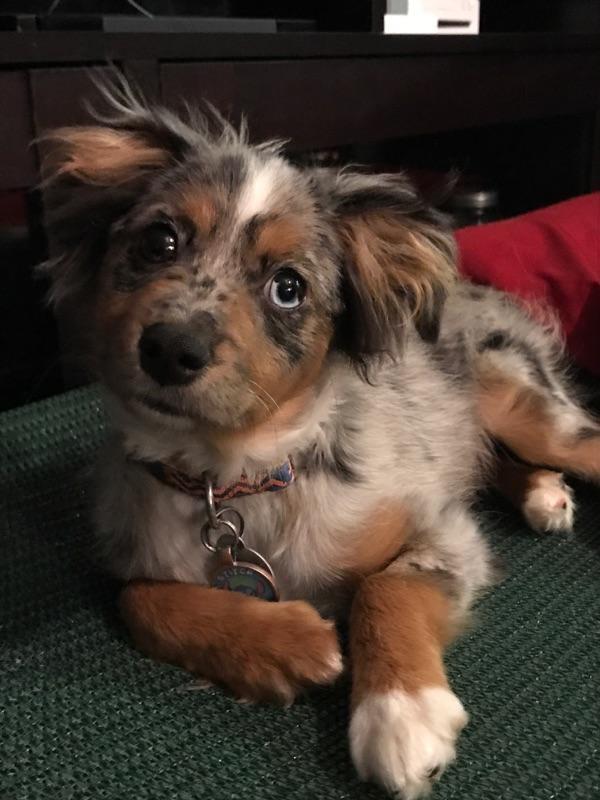 This guy finally held still! | Scrolller