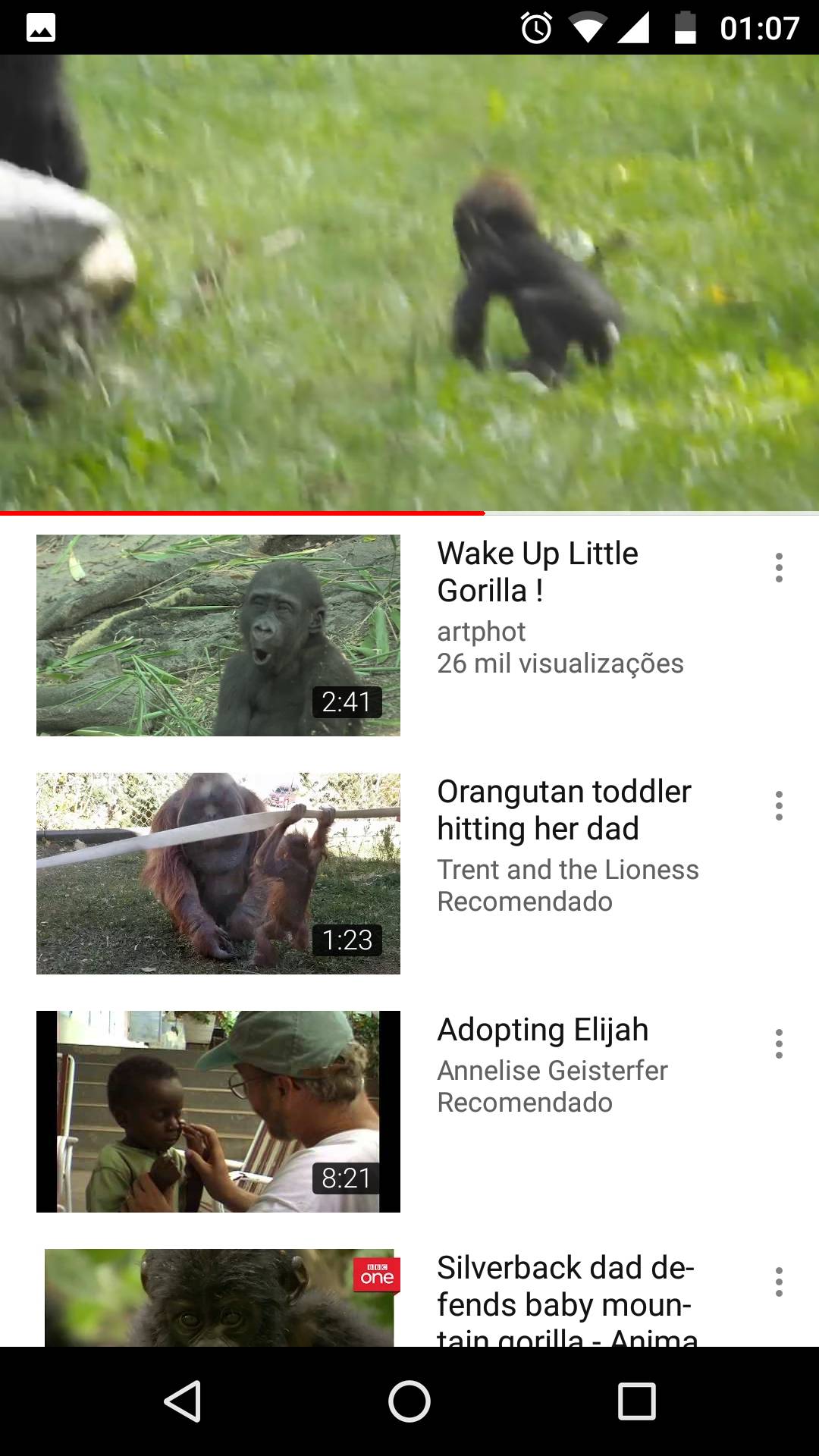 This interesting youtube recommendation after watching several videos with baby gorillas | Scrolller