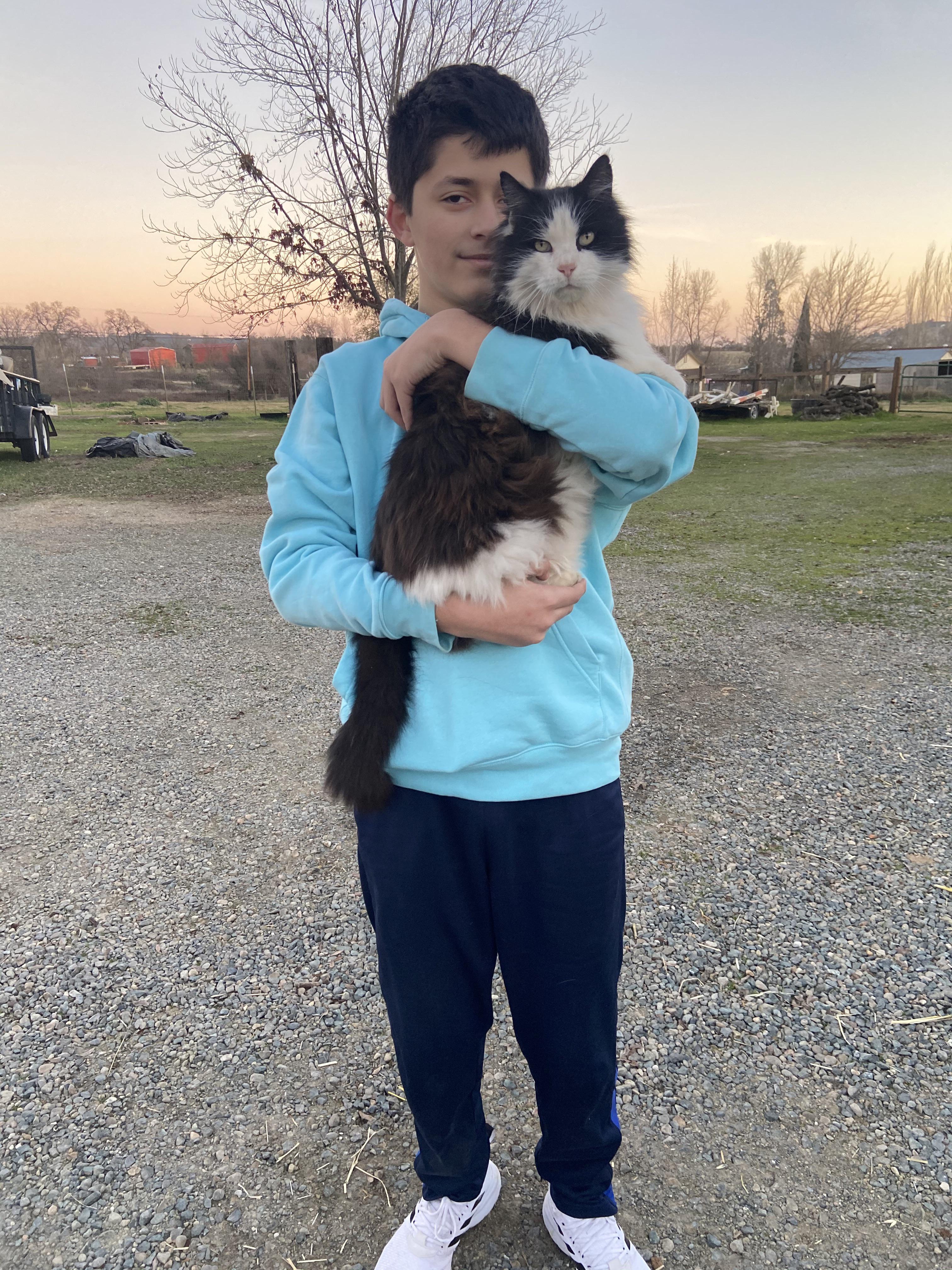 This is Fabio the cat who guards horses | Scrolller