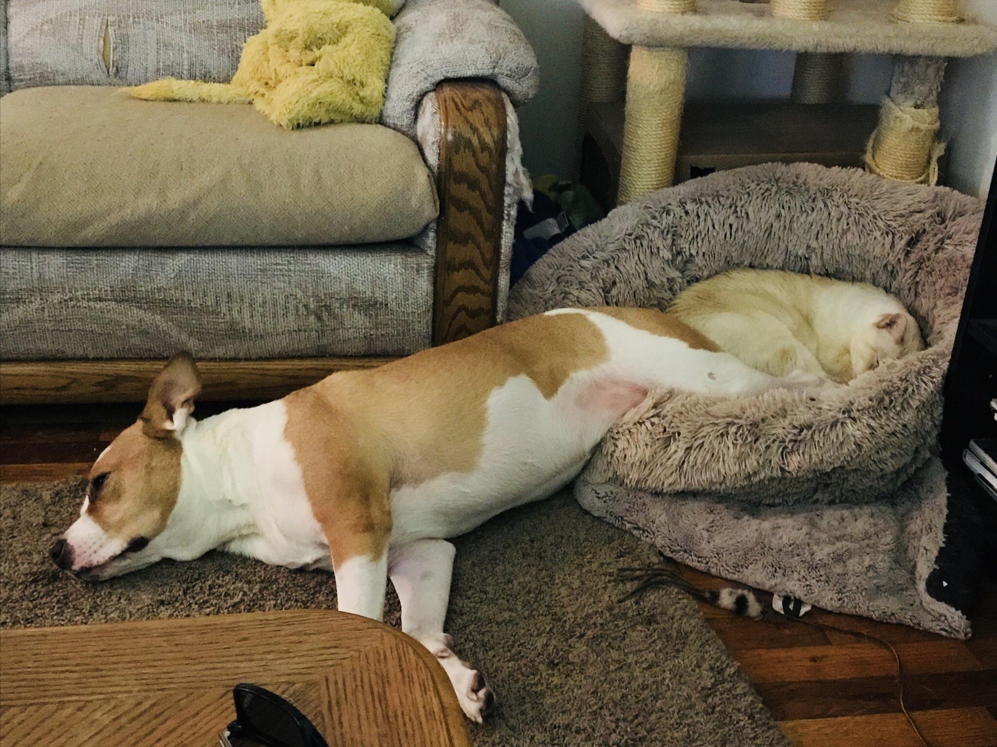 This is fine. | Scrolller