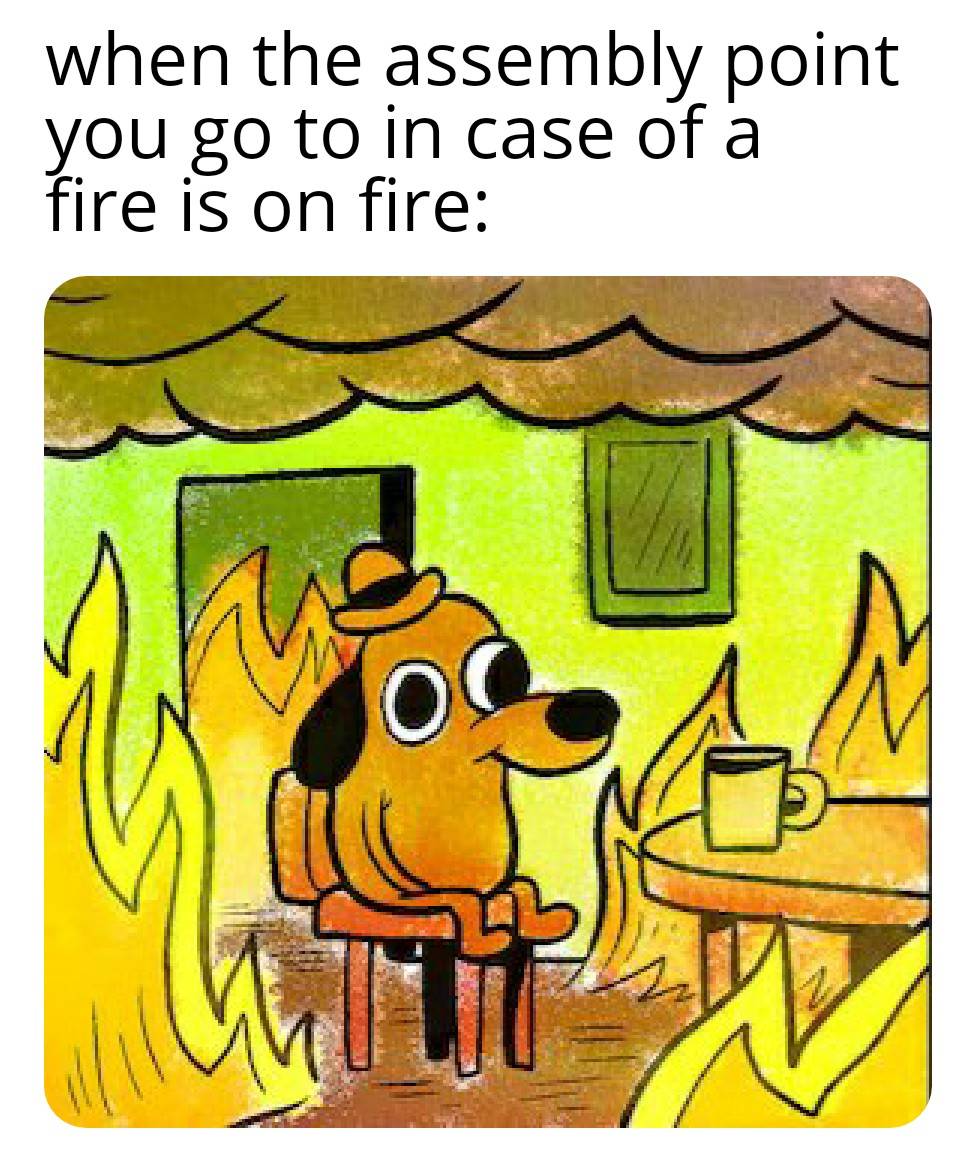 This is fine, roast turkey anyone? | Scrolller