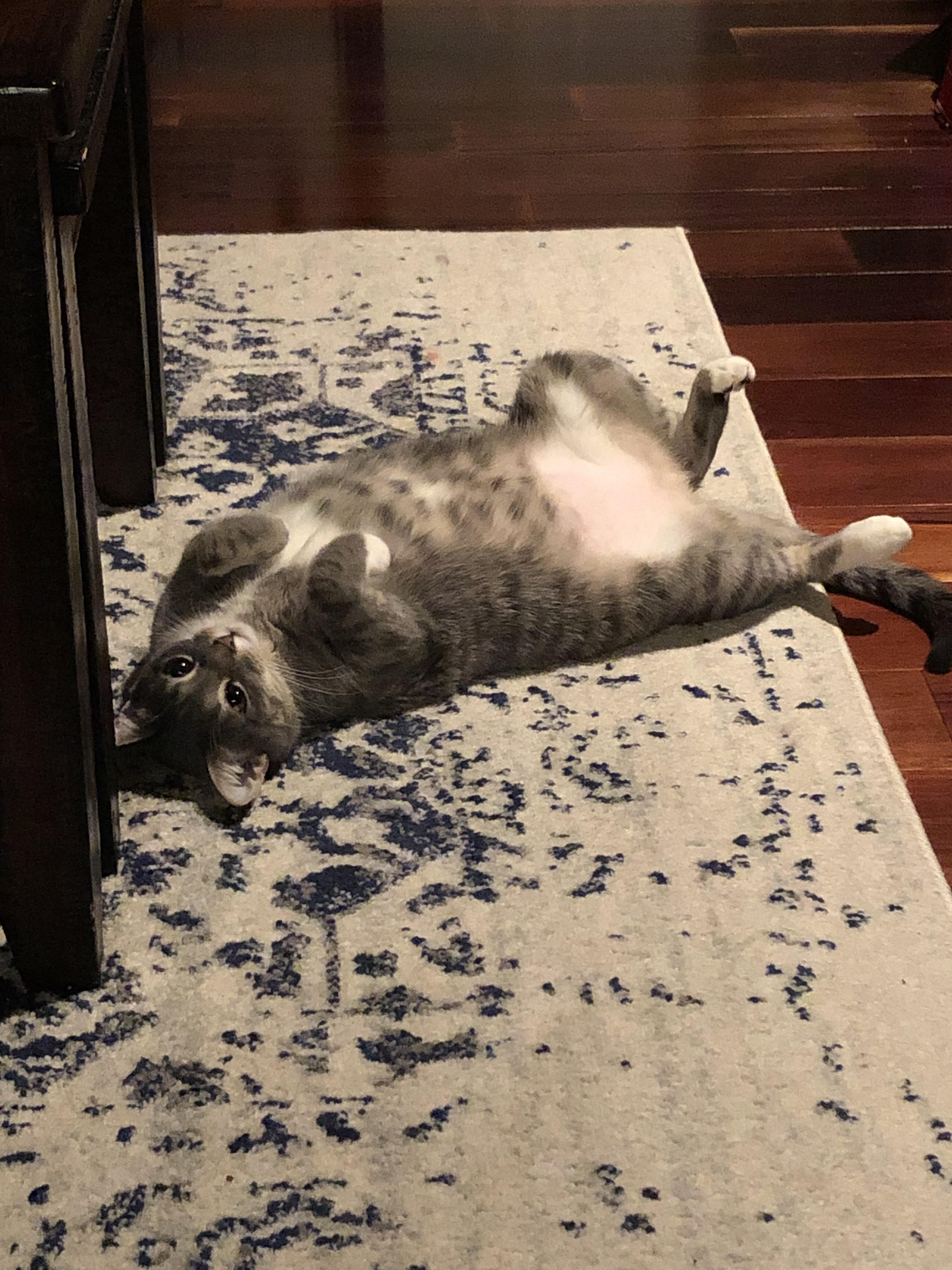 This is her attack pose. | Scrolller