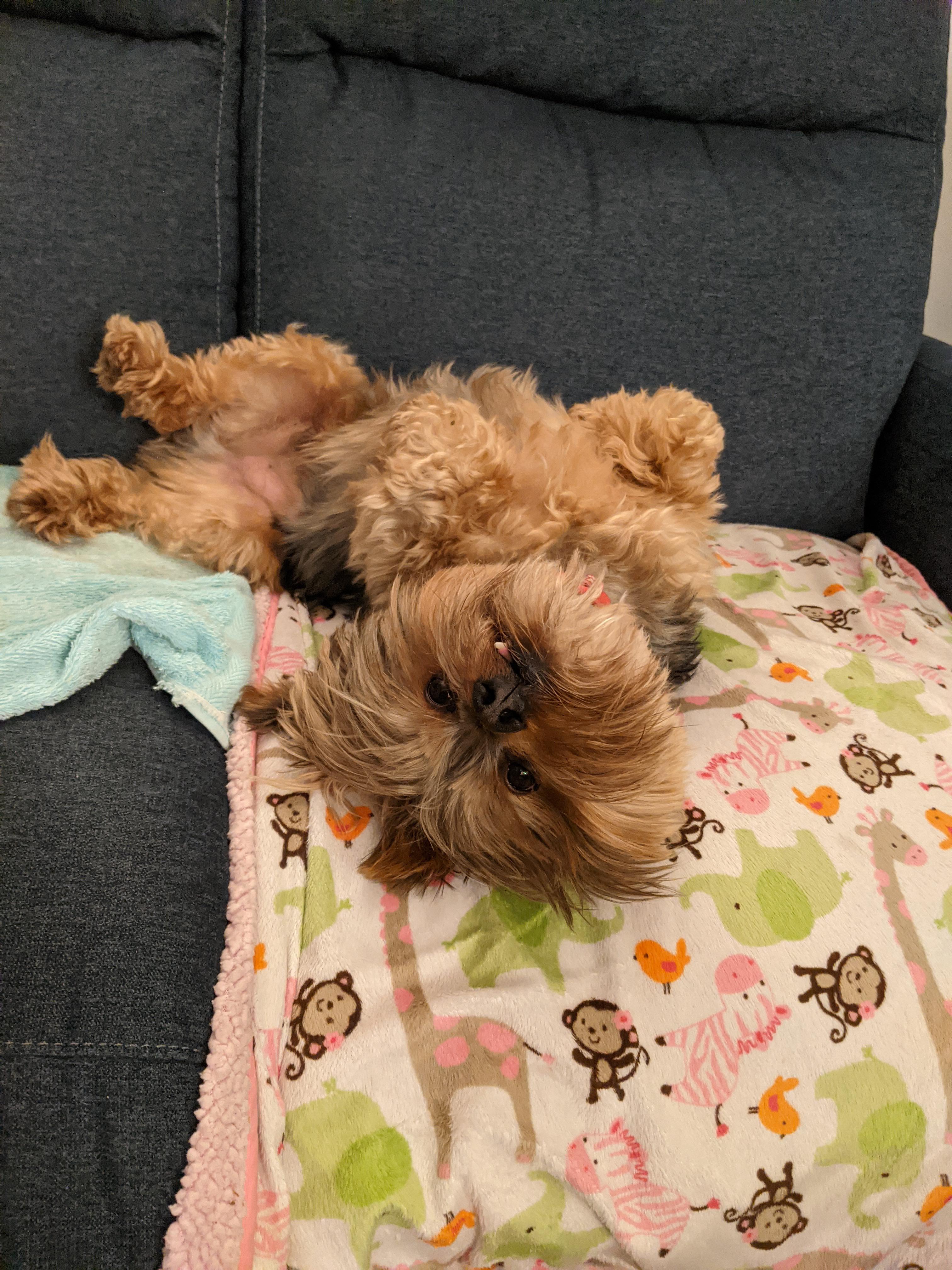 This is his derp mode | Scrolller