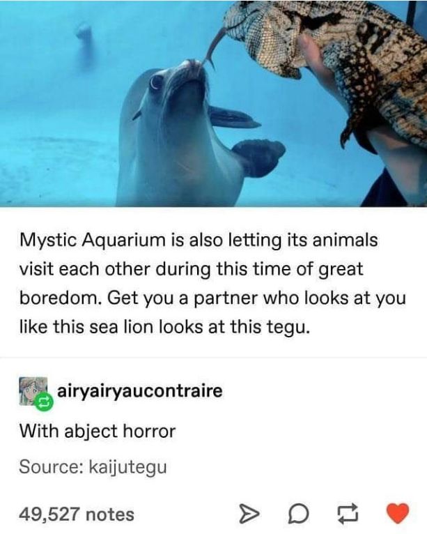 This is how horror movies start | Scrolller