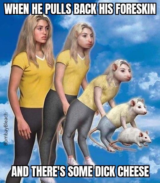 This is just terrible | Scrolller