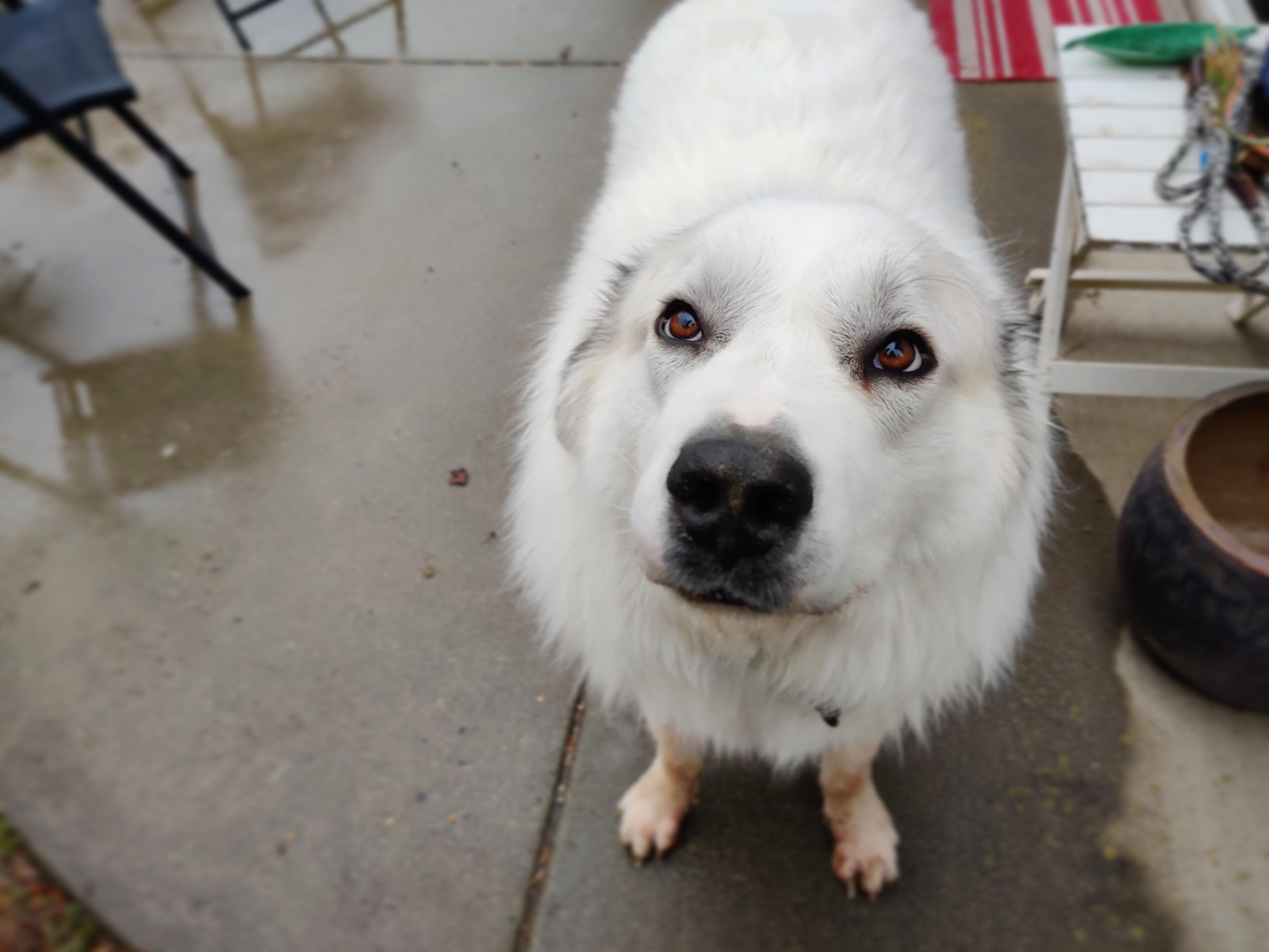 This is Marley Mae ️ | Scrolller