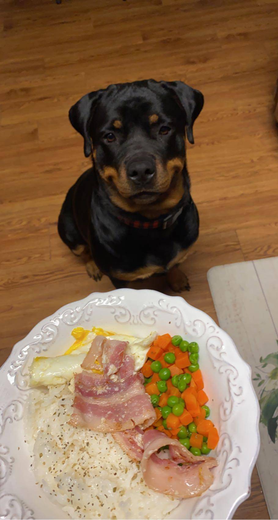 This is Miss Prada Jane | Scrolller