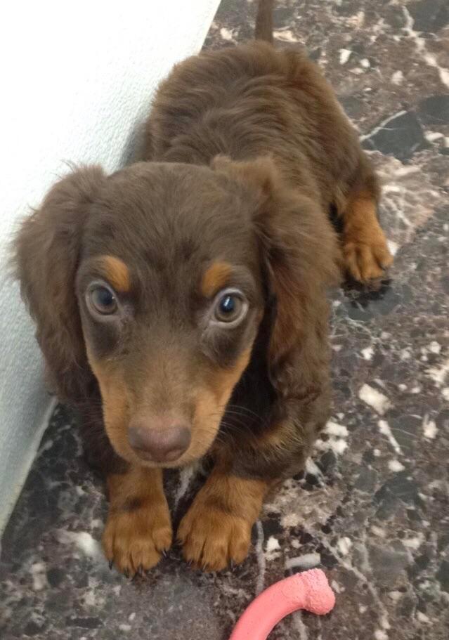 This Is Molly Scrolller
