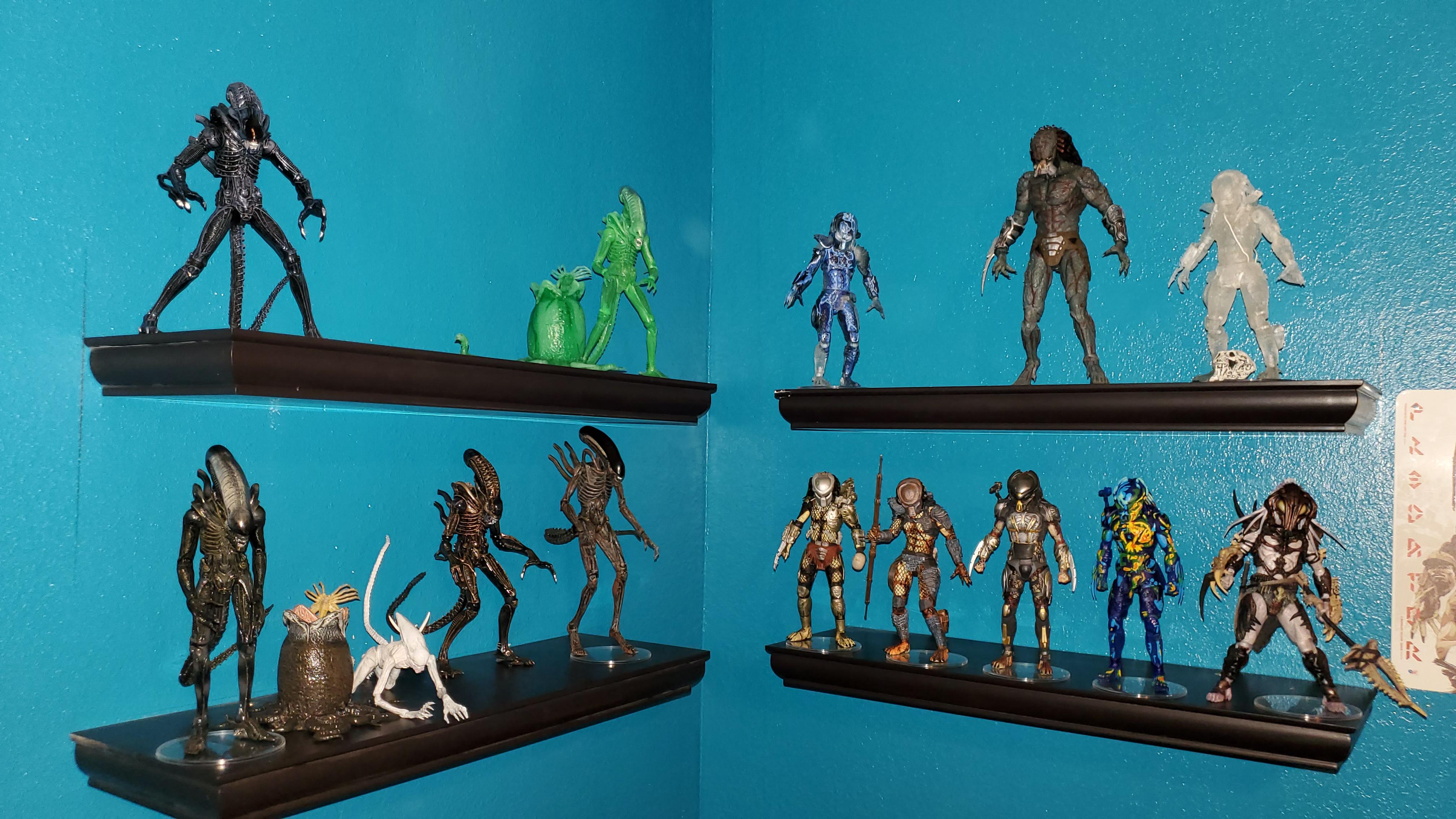 This is my alien and predator collection. | Scrolller